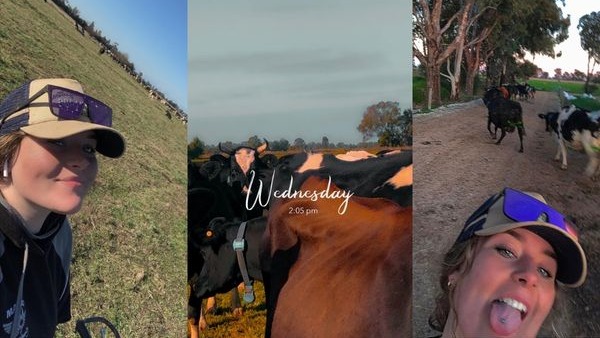 Fundraiser by Nathan Wood : Abbey Sizer