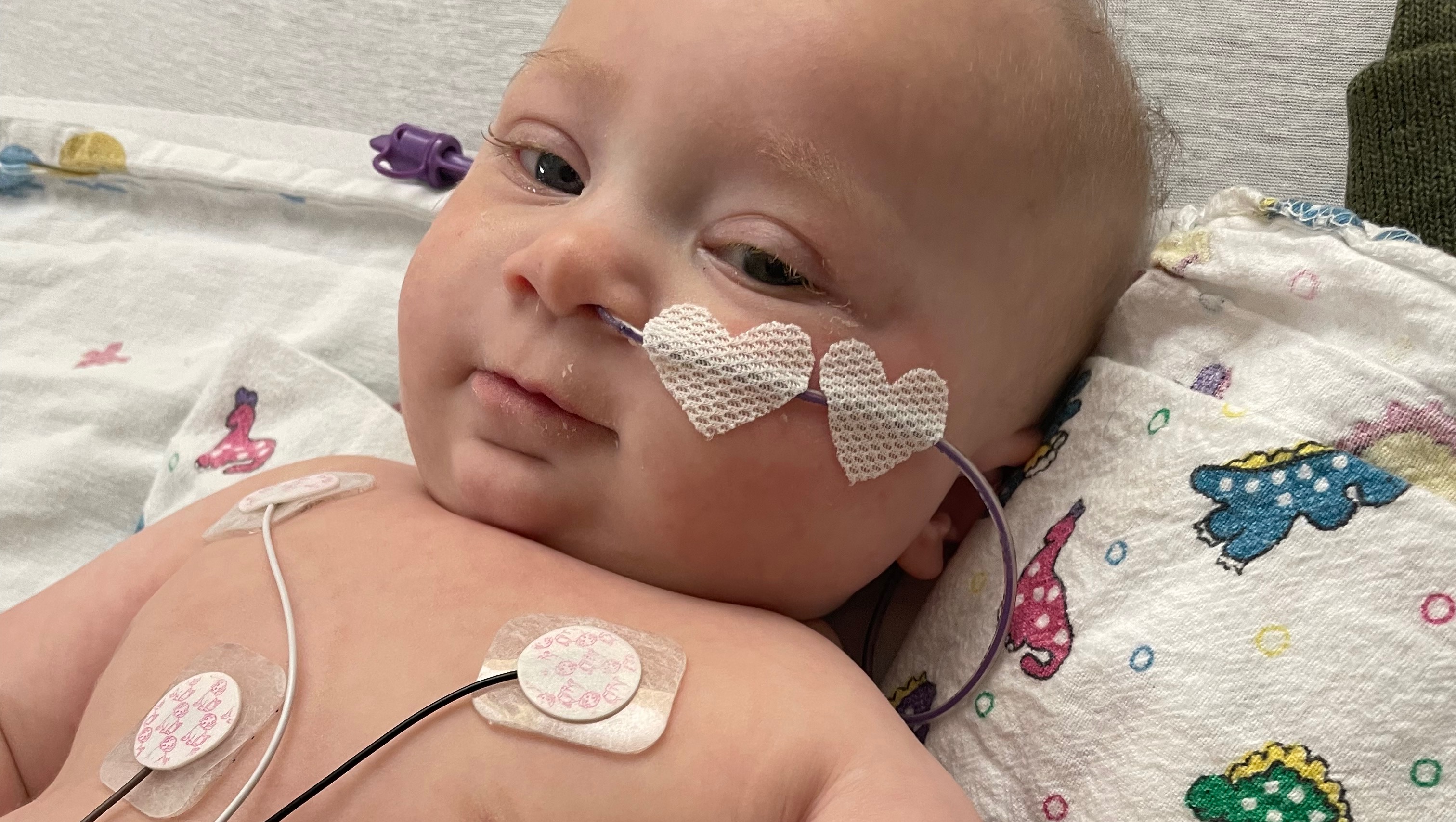 Fundraiser for Justin Werdin by Abigail Dutton : Support for Lev Werdin ...