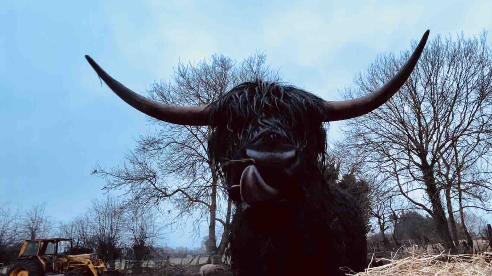Fundraiser by Katey Elizabeth : The Sanctuary Needs You!