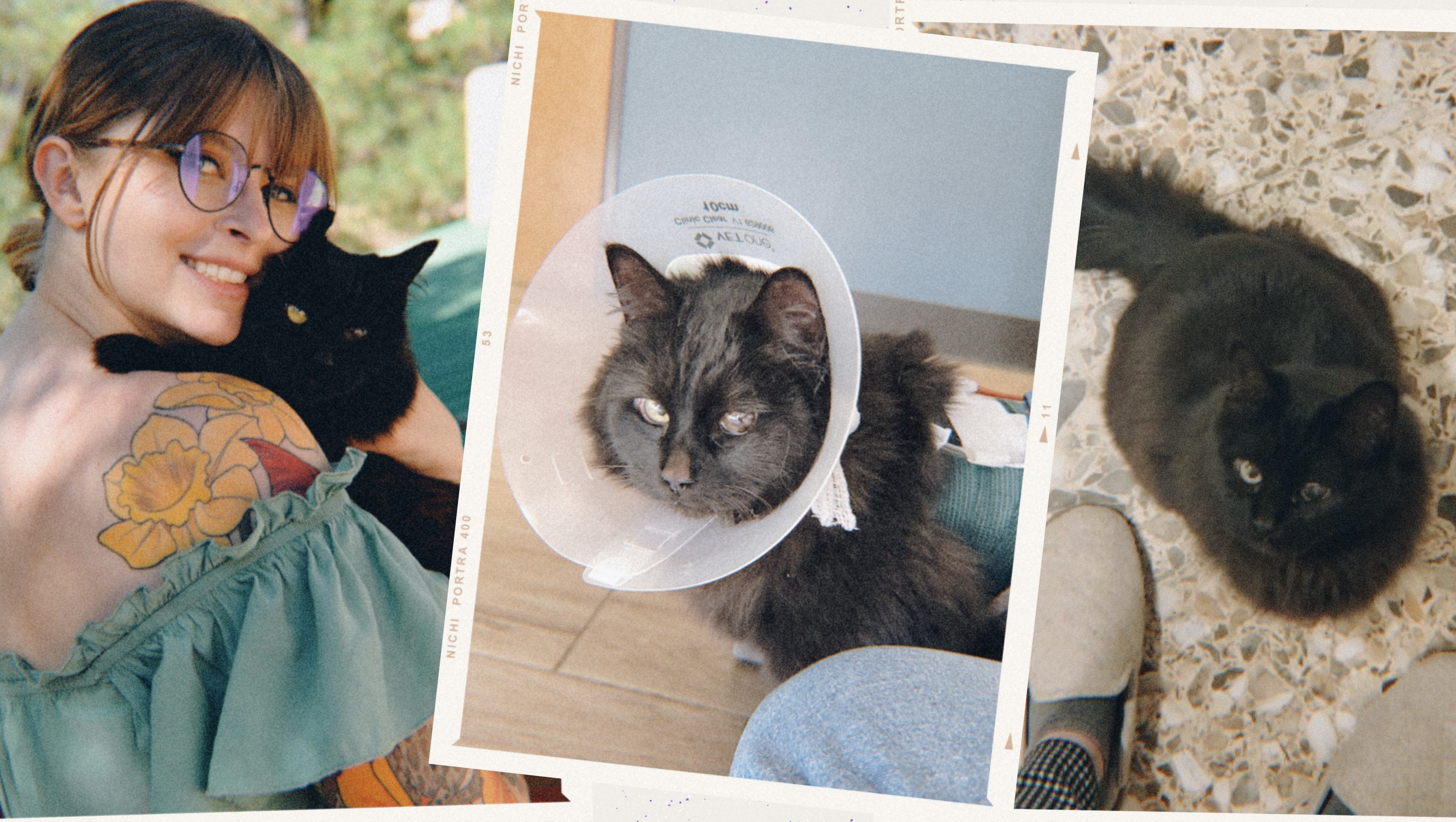 Fundraiser by Ashley Furman : Furiosa's Medical Emergency