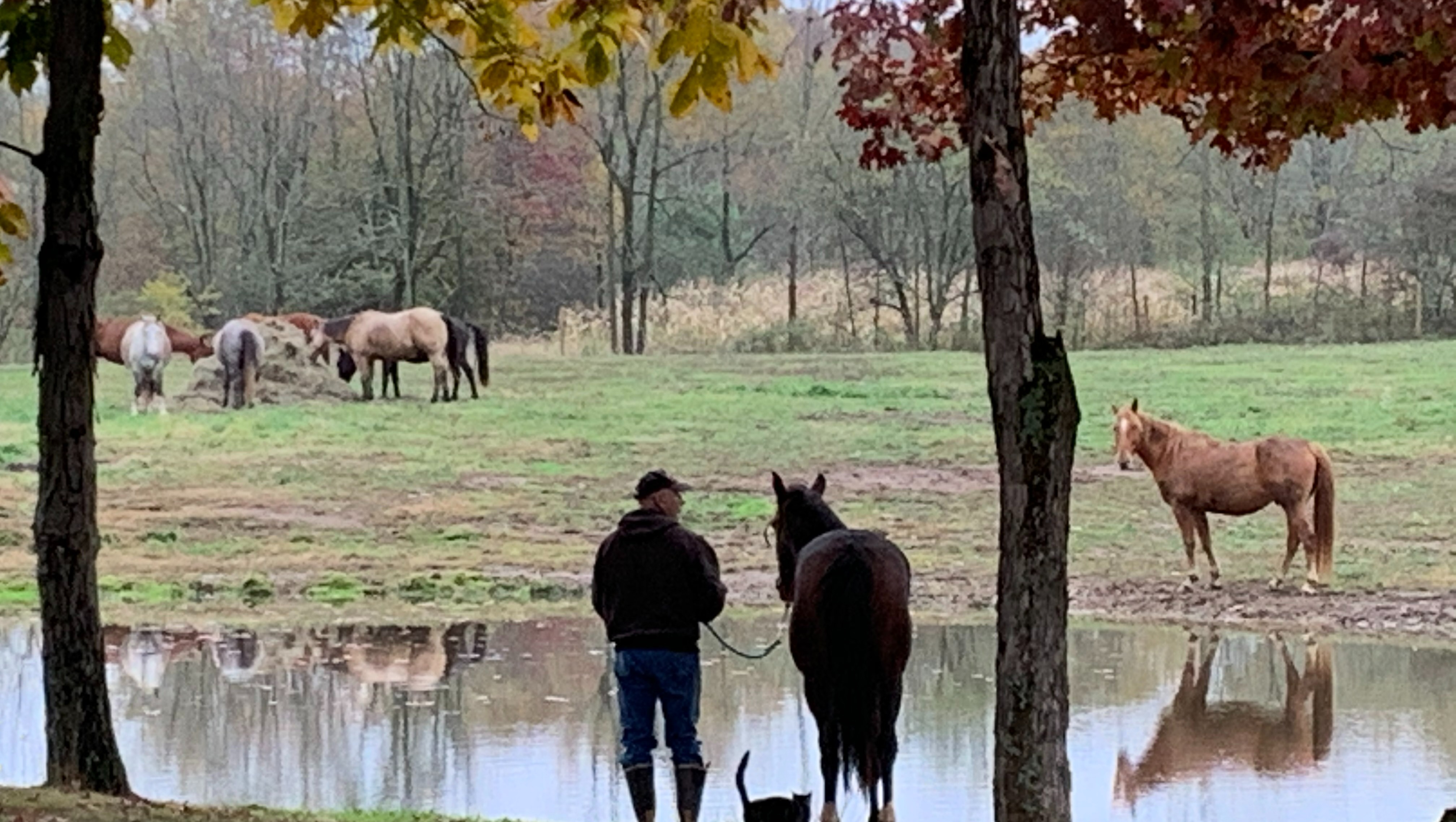 Fundraiser by Renee Lewis Lackey : DLR Mustang Ranch