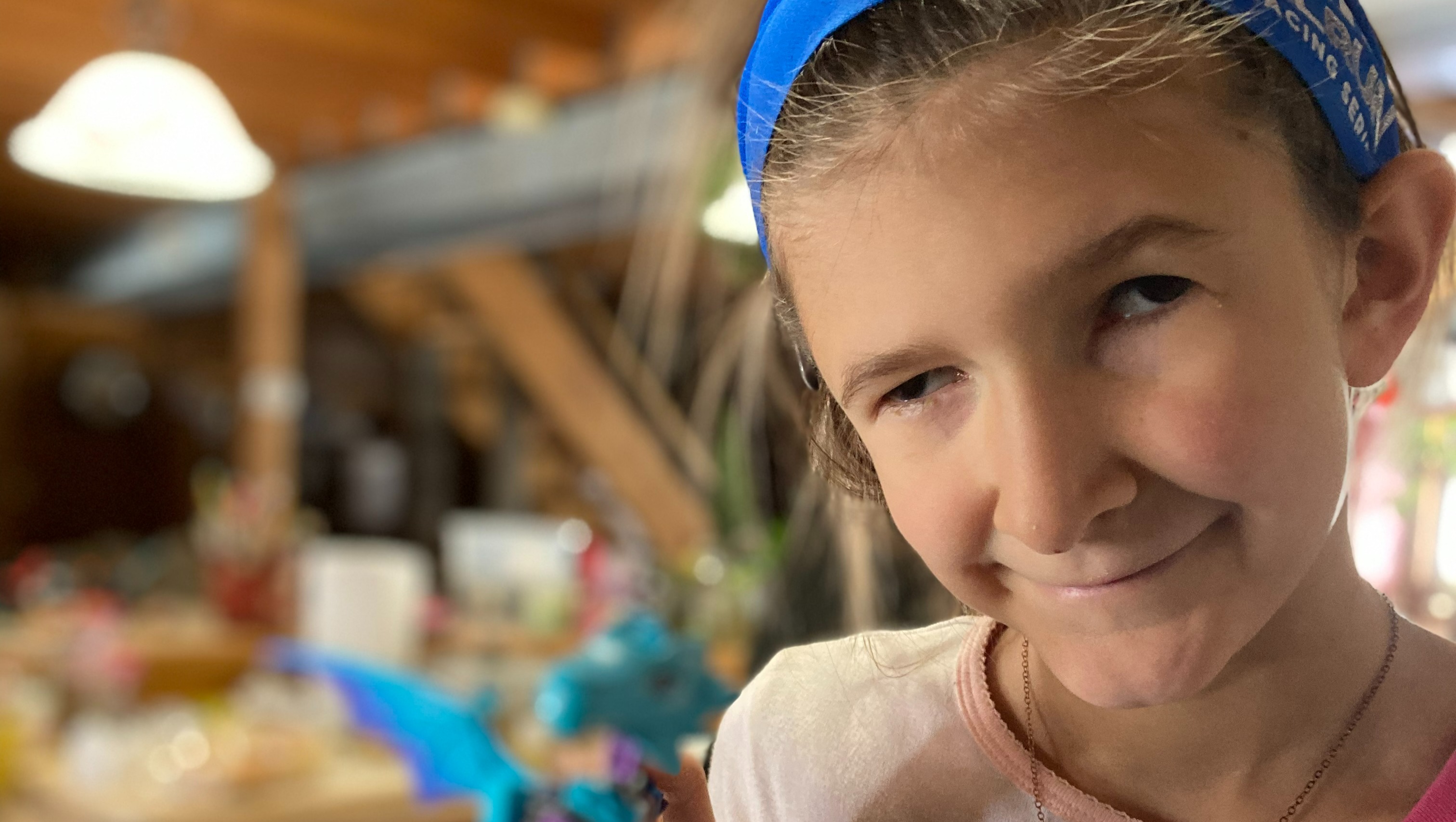 Fundraiser by Don and Marketa Garrison : Moxie's Heart Surgery