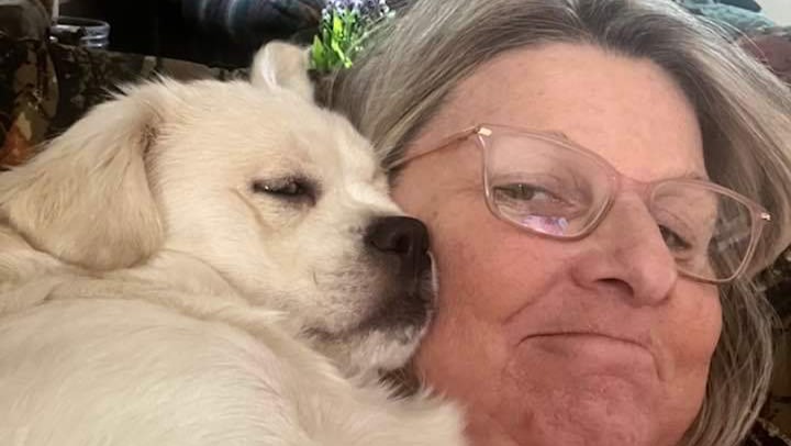 Fundraiser by Sherry Hodgson : Tammy Wiseman's Craniotomy Fund