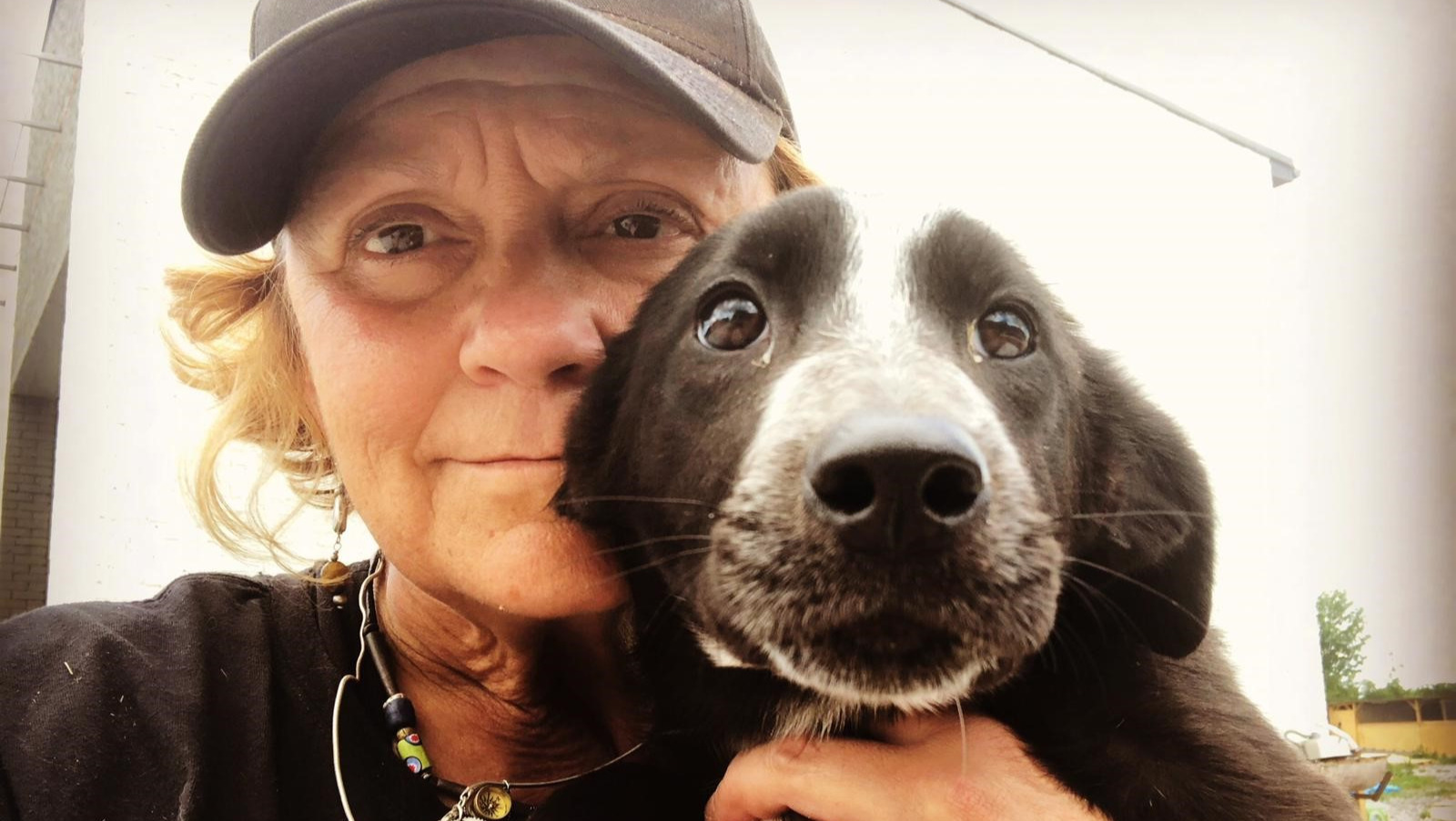 Fundraiser for Chloe Black by Dani McCarty-Eigenmann : Help for the animals
