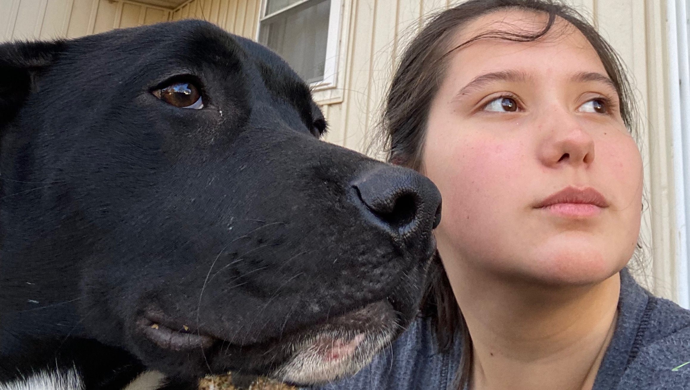 Fundraiser by Laura Bravo : Train Edmund to be a Psychiatric Service Dog