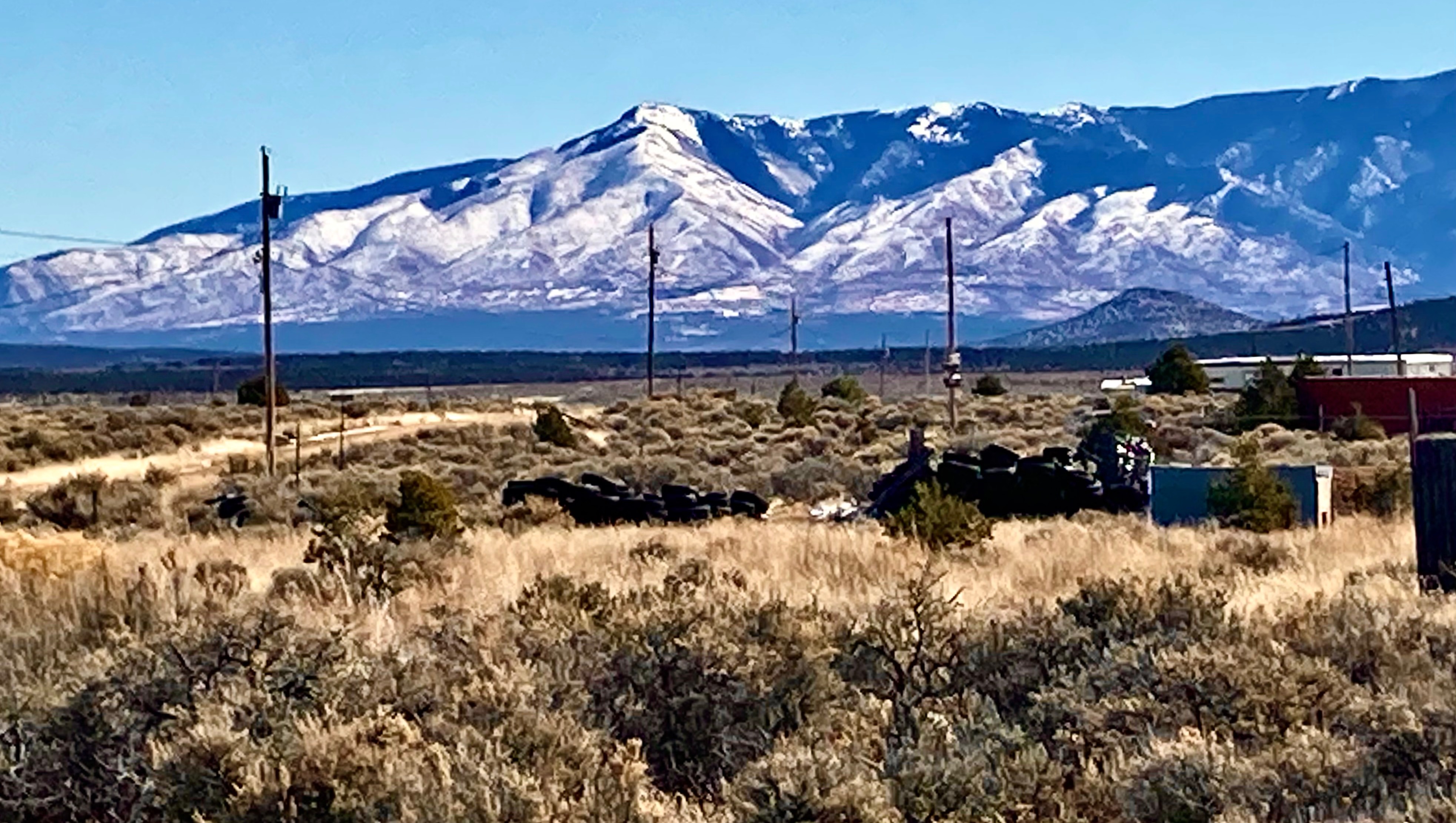 Fundraiser by Annabel Ascher : Sudden Temporary Loss of Income