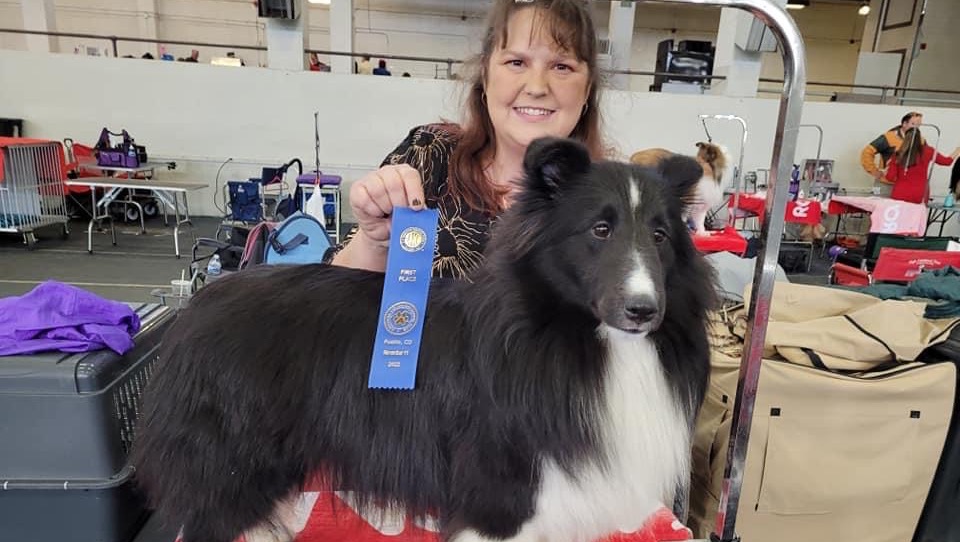 Fundraiser for Suzanne Rambo by Ronda Ragsdale : Cat bite turned ...