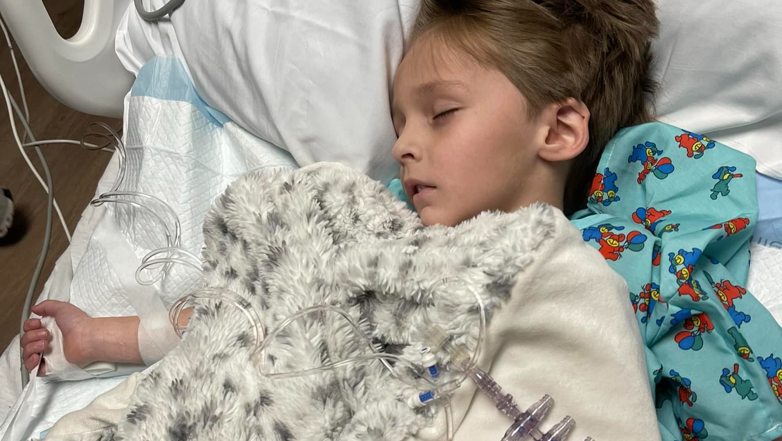 Fundraiser by Blaze Bickley : Wilder Needs a Diabetic Alert Dog (DAD)