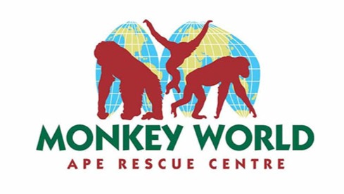 Fundraiser by Tom Springett : The London Marathon in memory of Harry Hodge