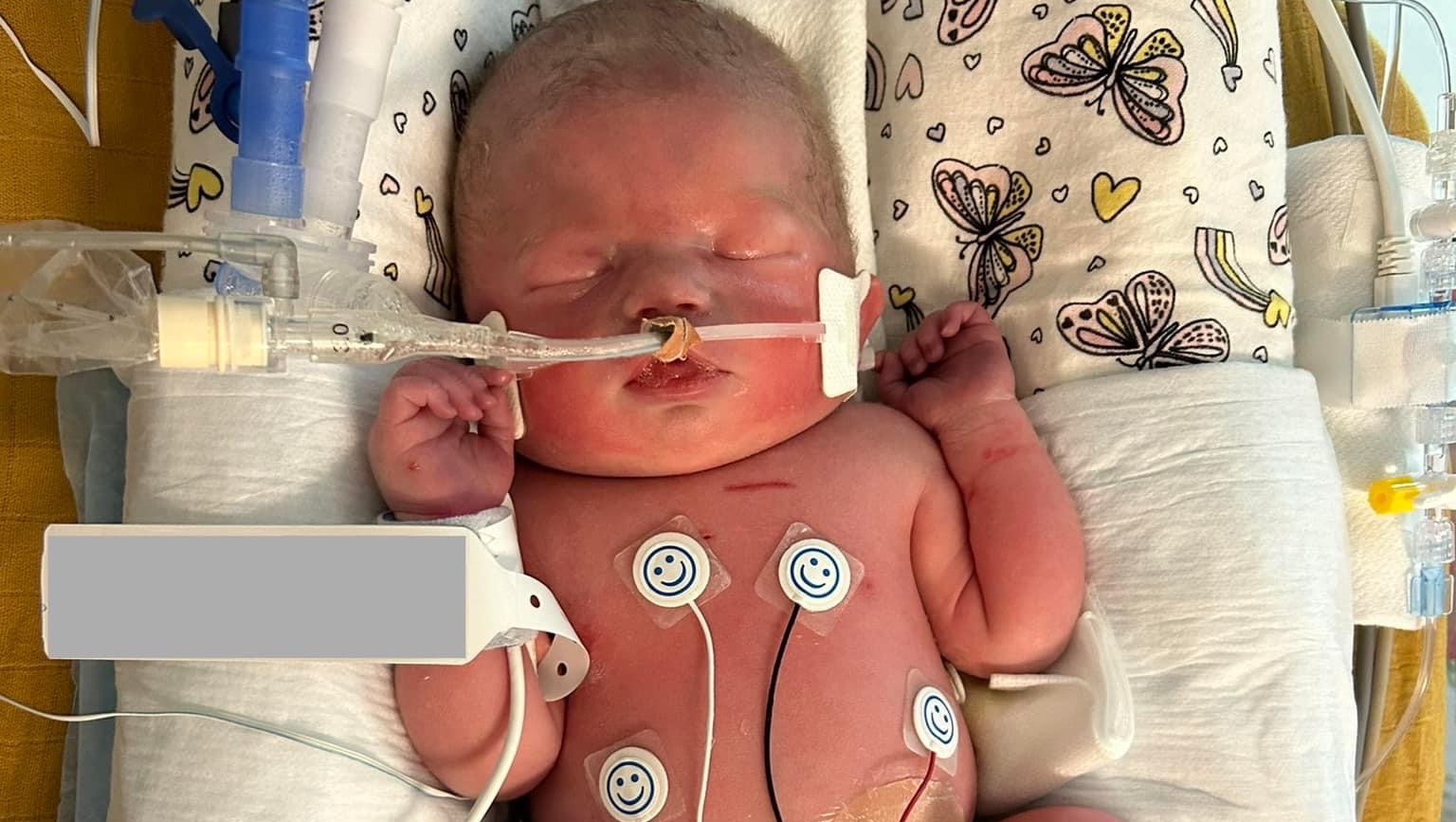 Fundraiser for Caleb Lanker by Lindsay Wray : Hope for Hallie