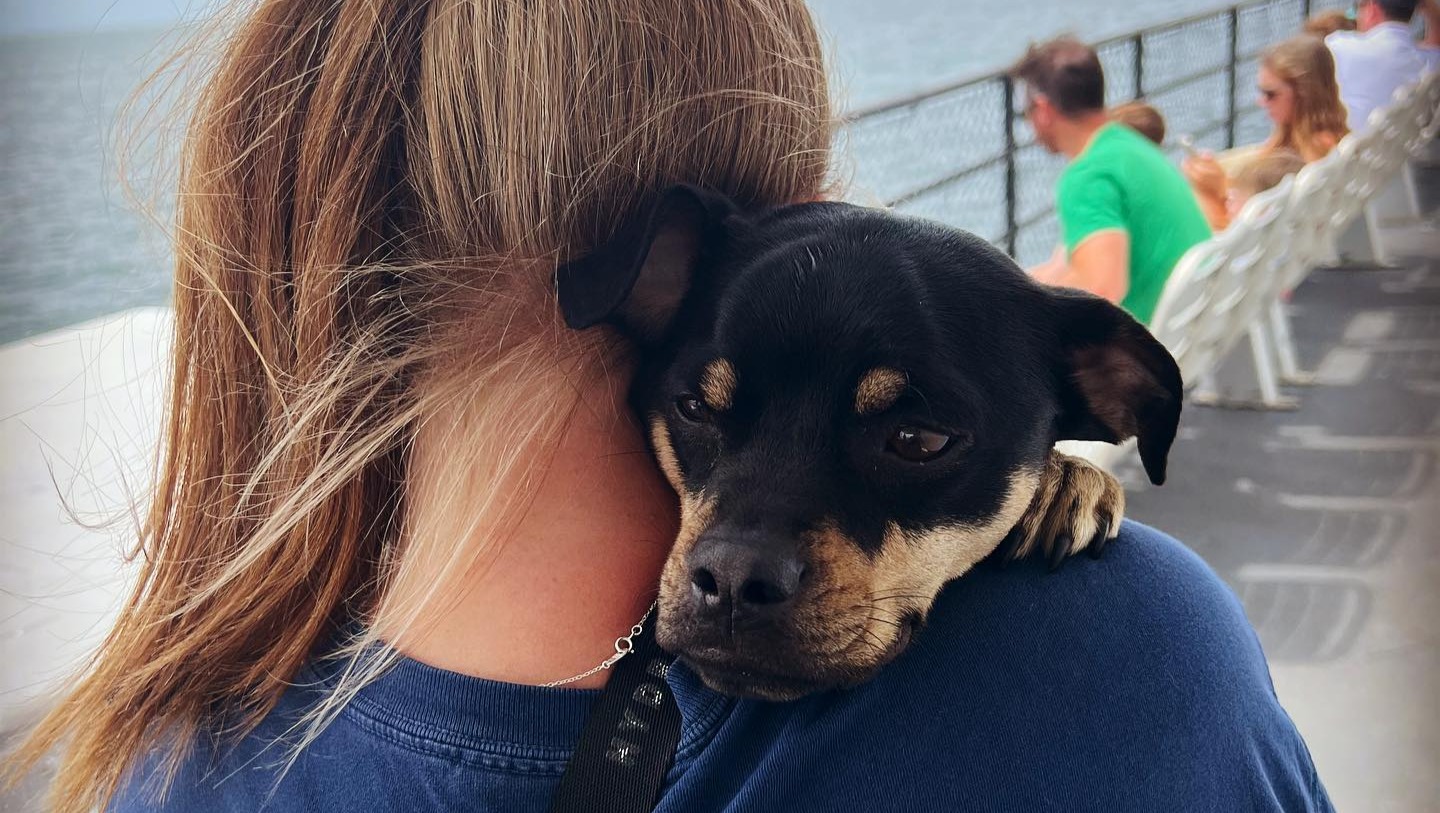 Fundraiser by Alexandra Schneider : Enso's Emergency Surgery