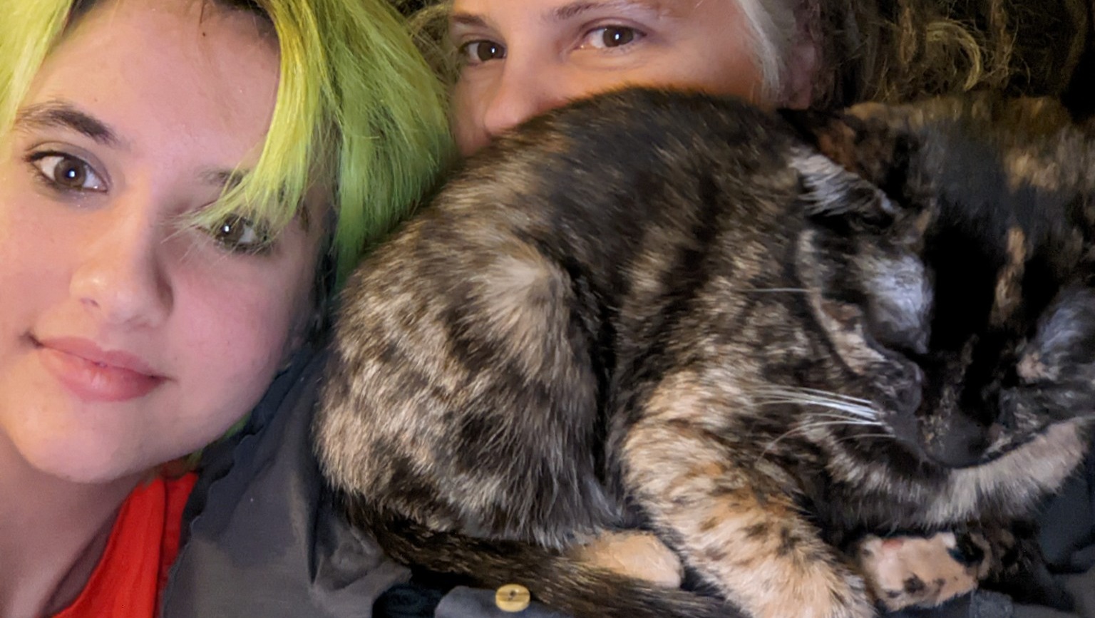 Fundraiser for Sandi Wiley by Masumi Hyodo : PANS IVIG treatment ...