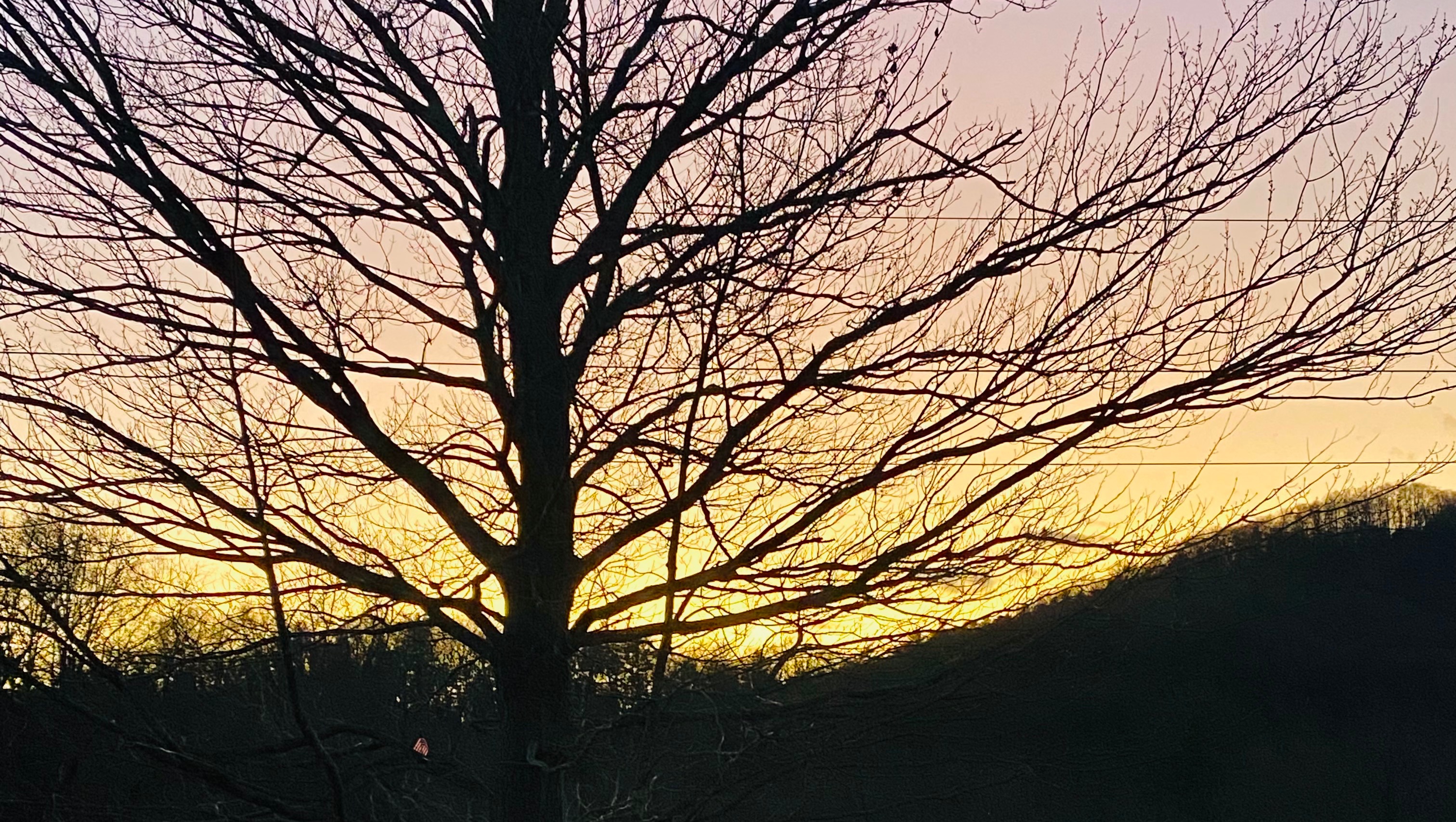 Fundraiser for Donna Poteete by Amanda Ballinger : Devastating House Fire