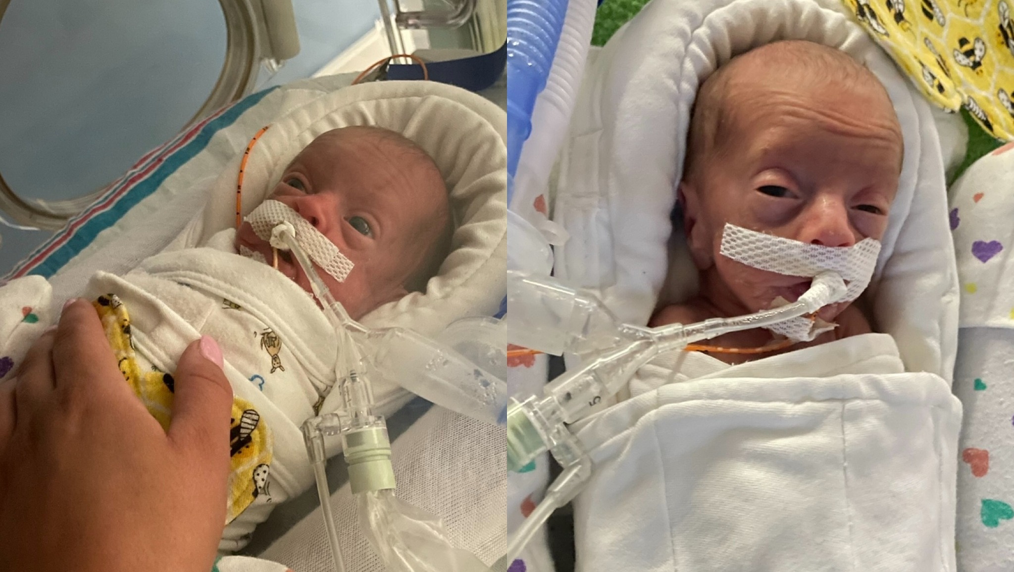 Fundraiser for Meredith Bussler by Robbie Gosling : Support for Dalen ...