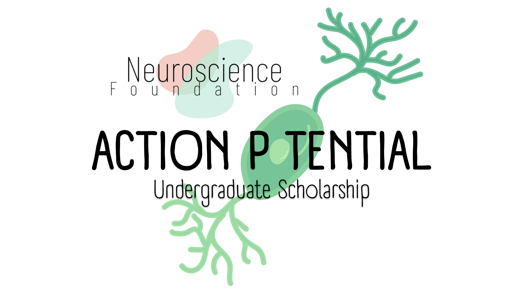 Fundraiser by Neuroscience Foundation : Action Potential Undergraduate ...