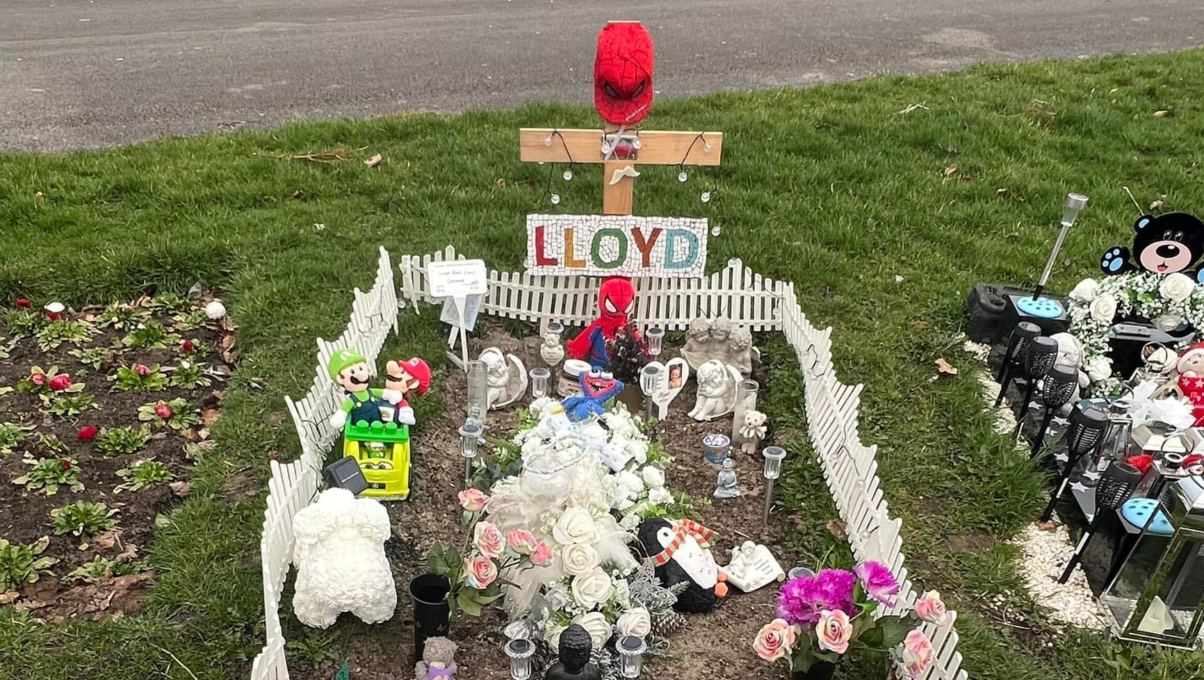 Fundraiser by Sarah Cheung : Lloyd Remi Lewis Cheung