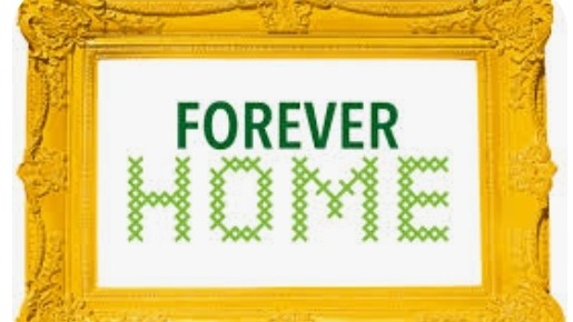 Fundraiser by Tara Lafferty : Please help Buy a Home for Rescued ...