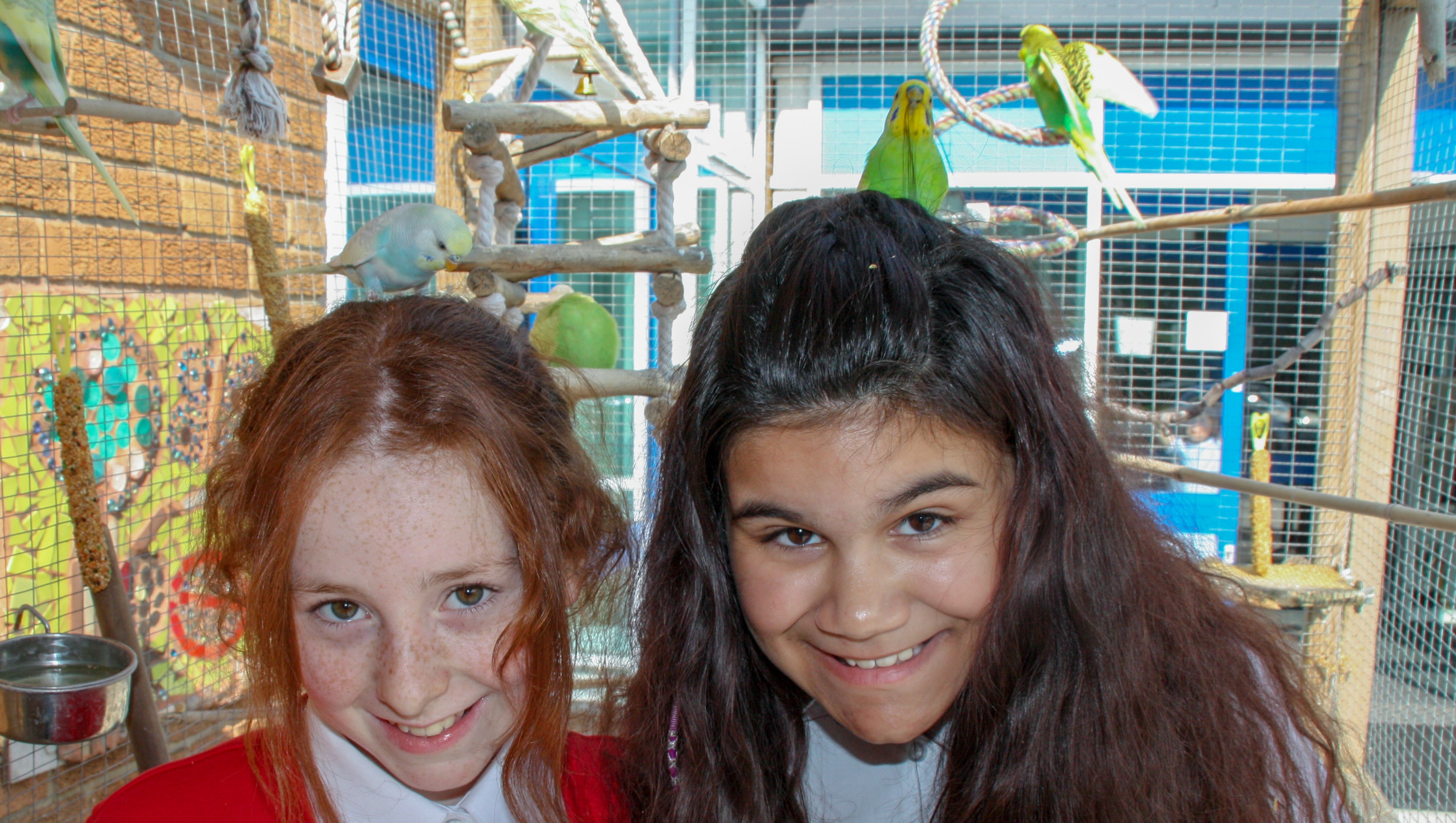 Fundraiser by Geraint Clarke : Please Help Brentry Pupils Get Their ...