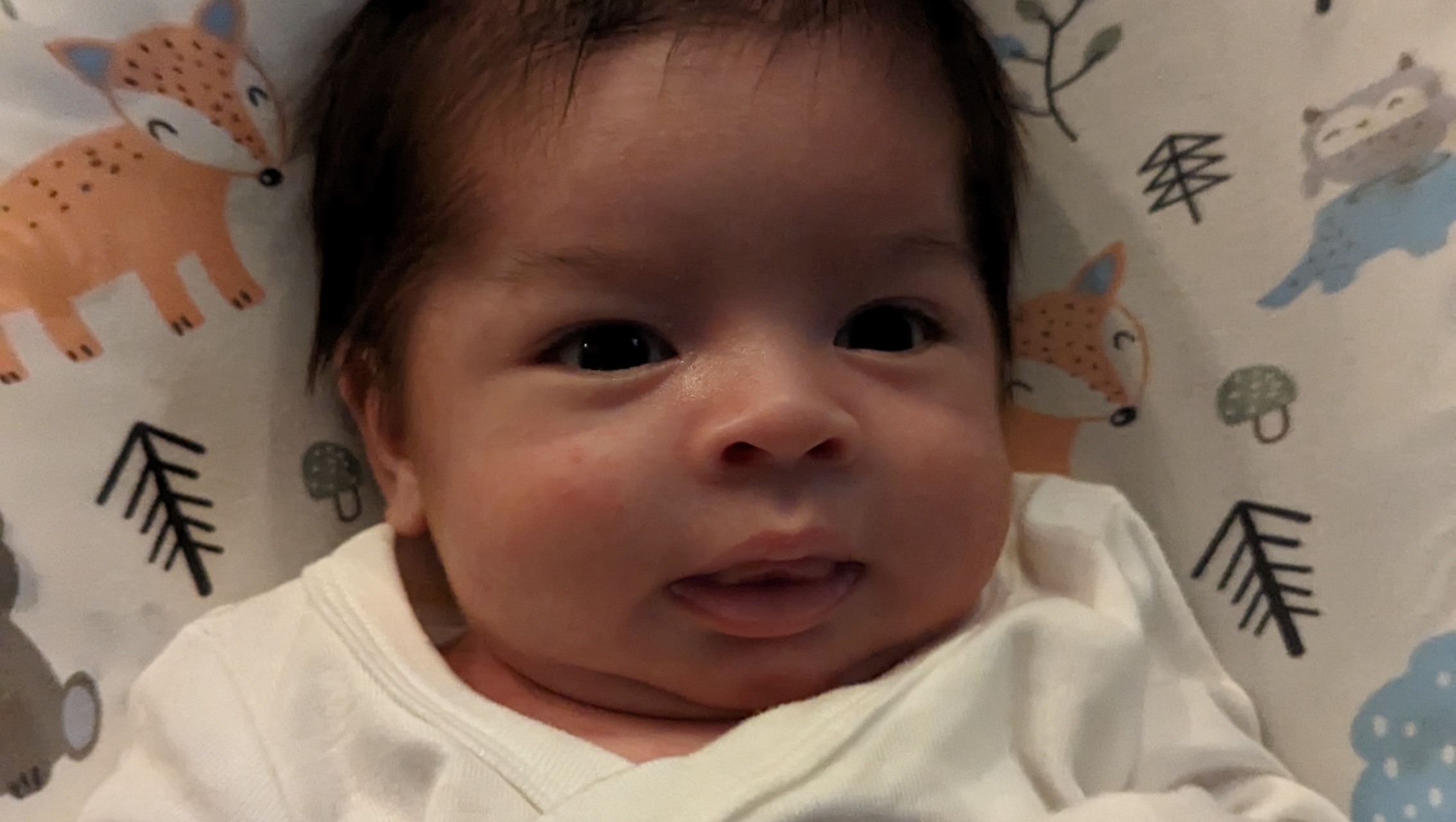 Fundraiser by Jasmine Castro : Help Baby Nicky with a heart monitor