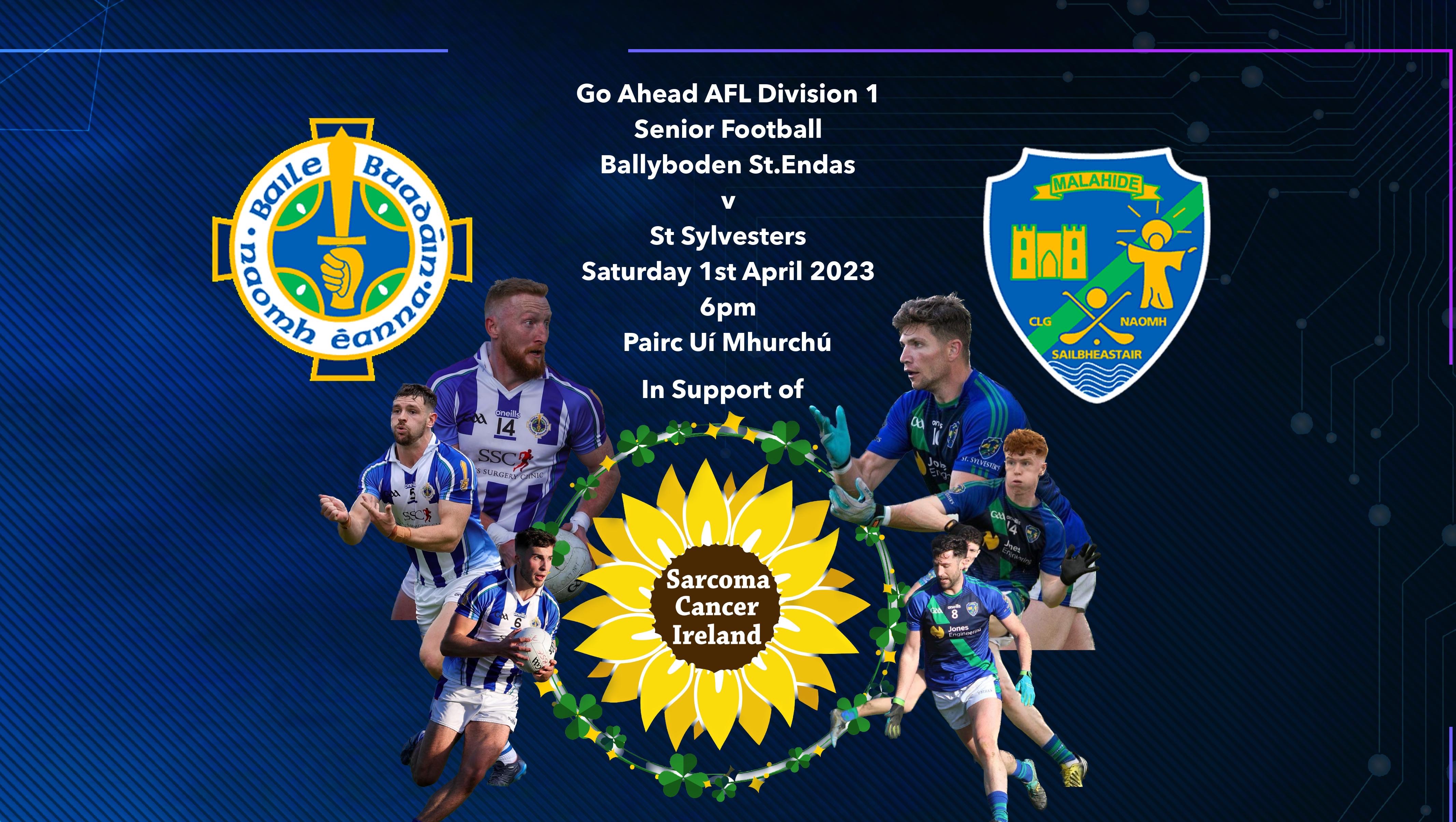 Fundraiser for David Smeed by Ballyboden St Endas Senior Football ...