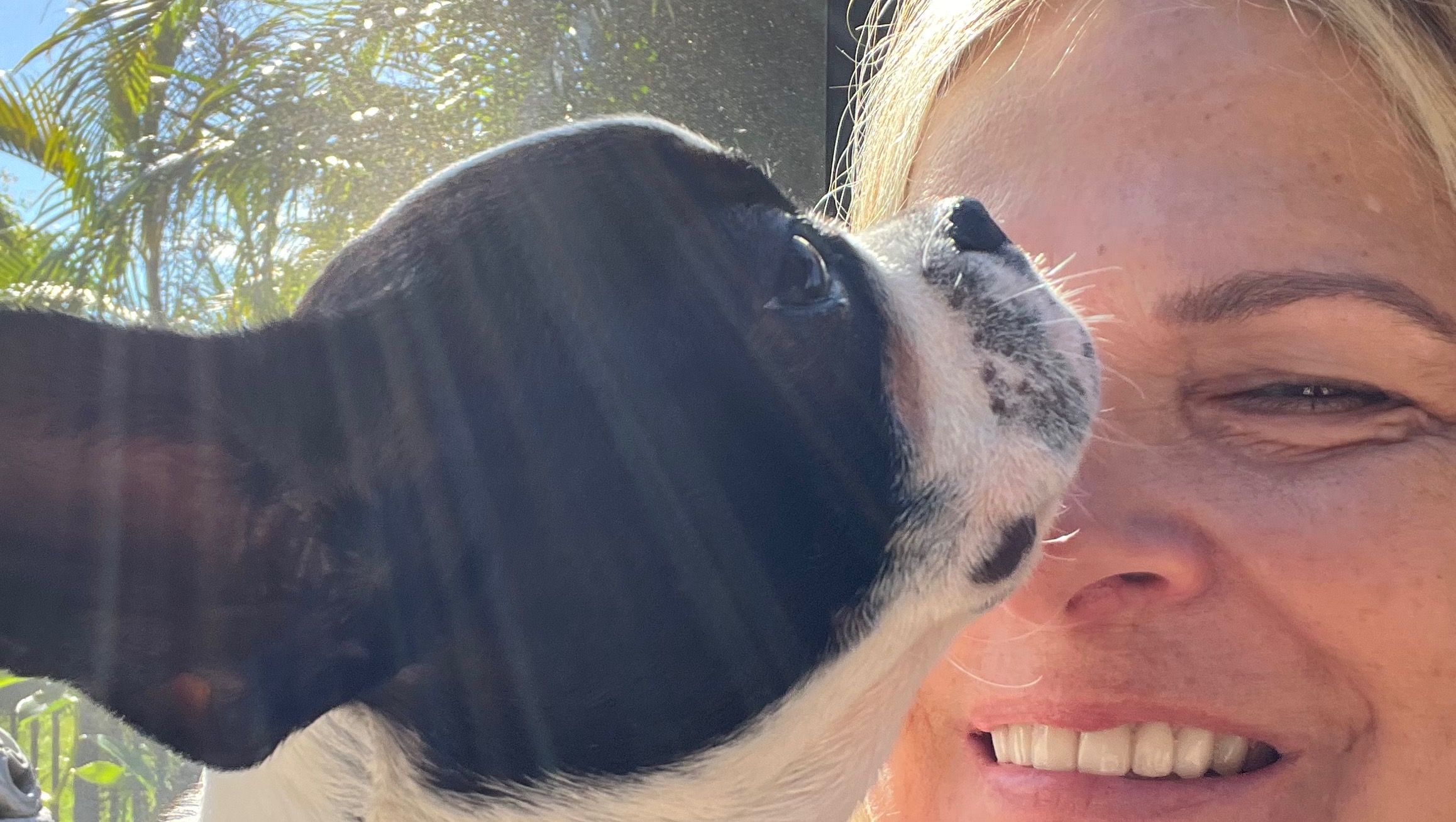 Fundraiser for Rosie Burgess Auer by kristine pothering : Rosie Needs ...