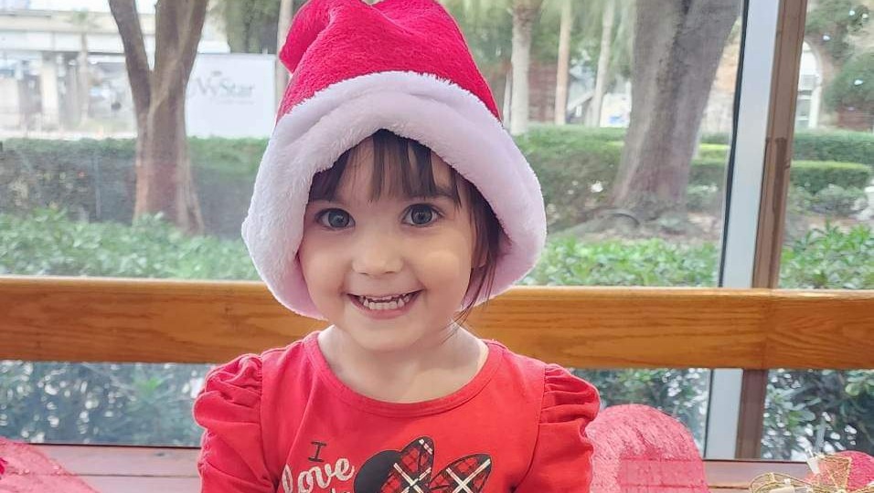 Fundraiser by Cody Bates : Funeral Costs for Sweet Emily Rose Bates