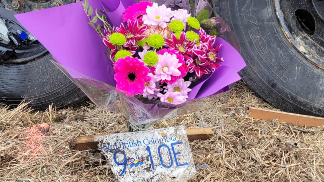 Fundraiser by Mina Samimi : Reza Oftadeh