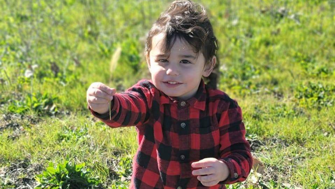 Fundraiser for Jamie Ott by Jessica Dominic : Lay levi to rest