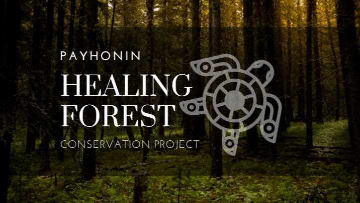 Fundraiser by Bill Bertschy : Turtle Island Healing Forest Conservation Project