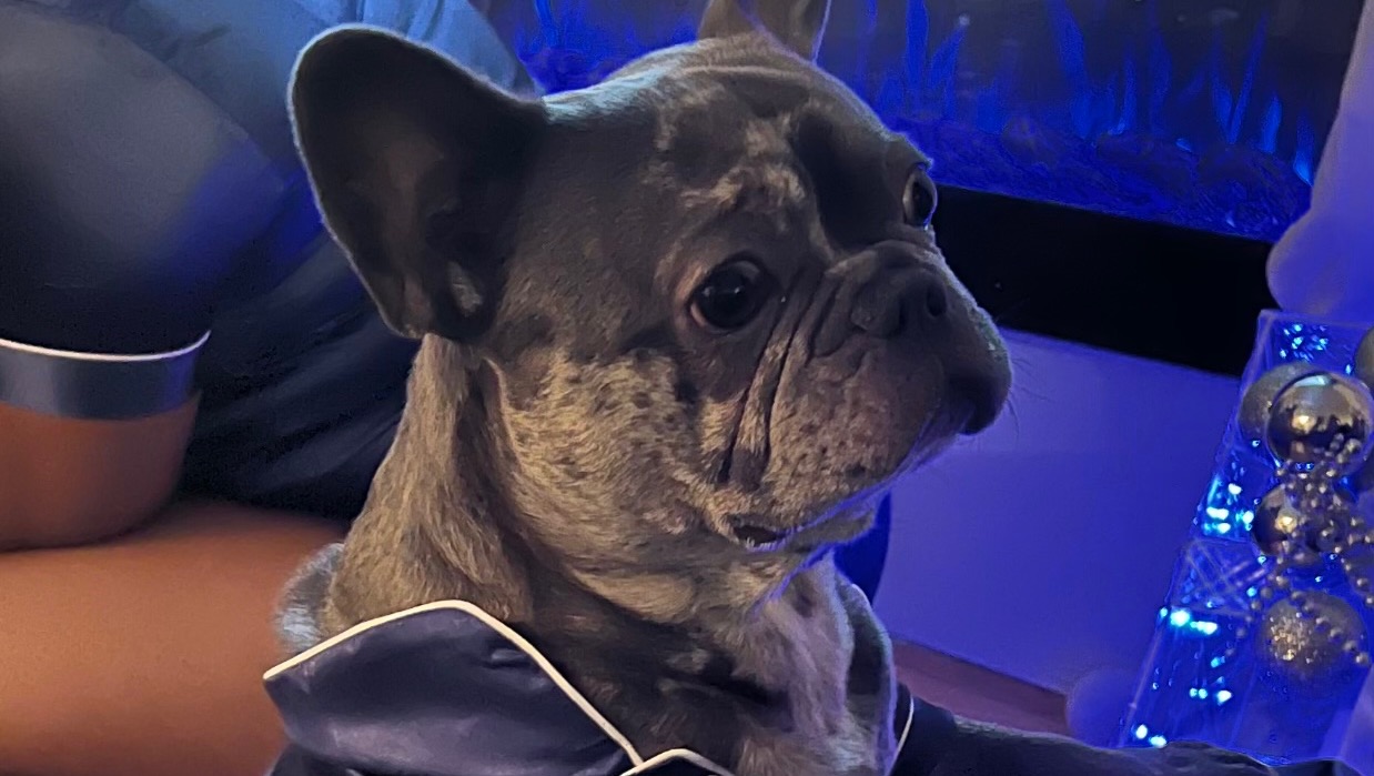 Fundraiser by King Merle : Help KING with chemo