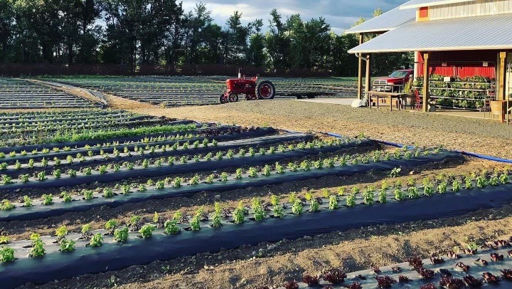Fundraiser by Bre Lucas-Roberts : Frog Hollow Farm-Kid’s Space