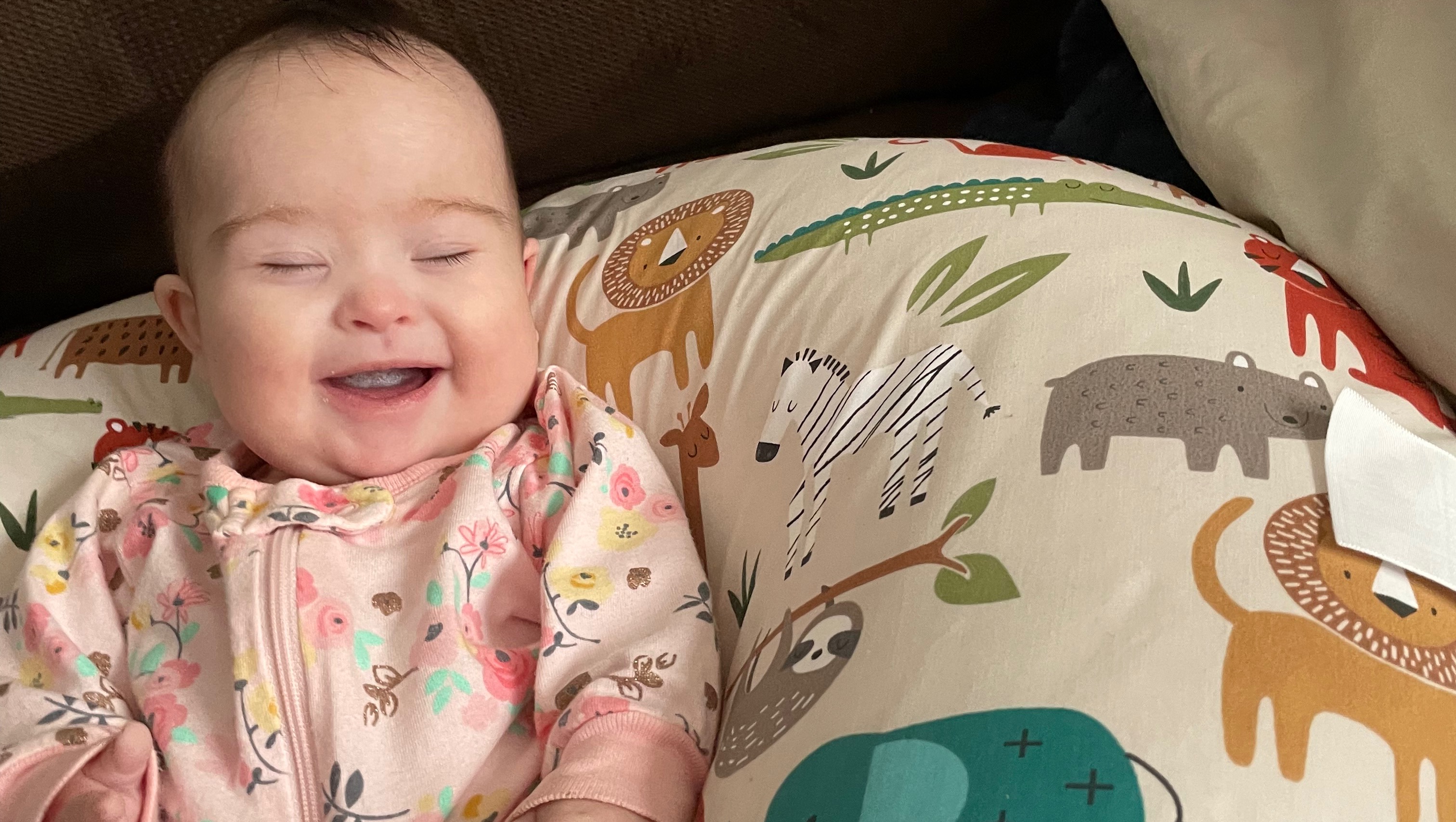 Fundraiser for Christopher Coulter by Morgan Cusato : Baby Norma