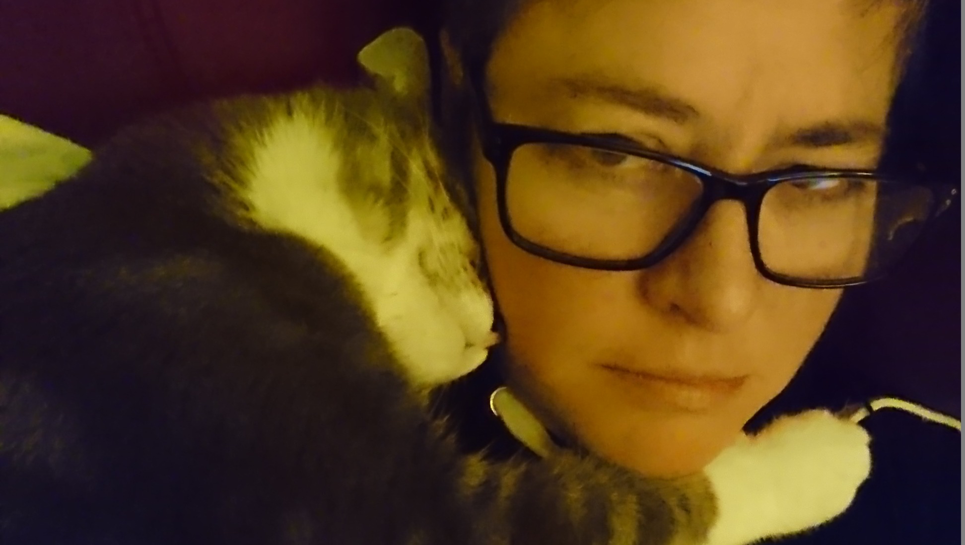 Fundraiser for Patricia Klein by Ida Nilsen : Help Patsy and Piper with ...