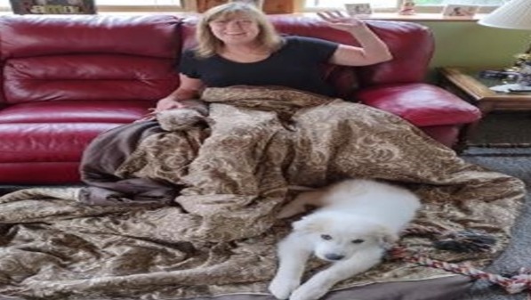 Fundraiser for Connie Rich by Tricia Edwards : Donate to help Connie Rich