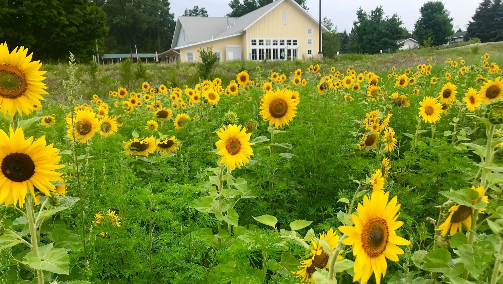 Fundraiser by John Niedermaier : Growing Sustainably