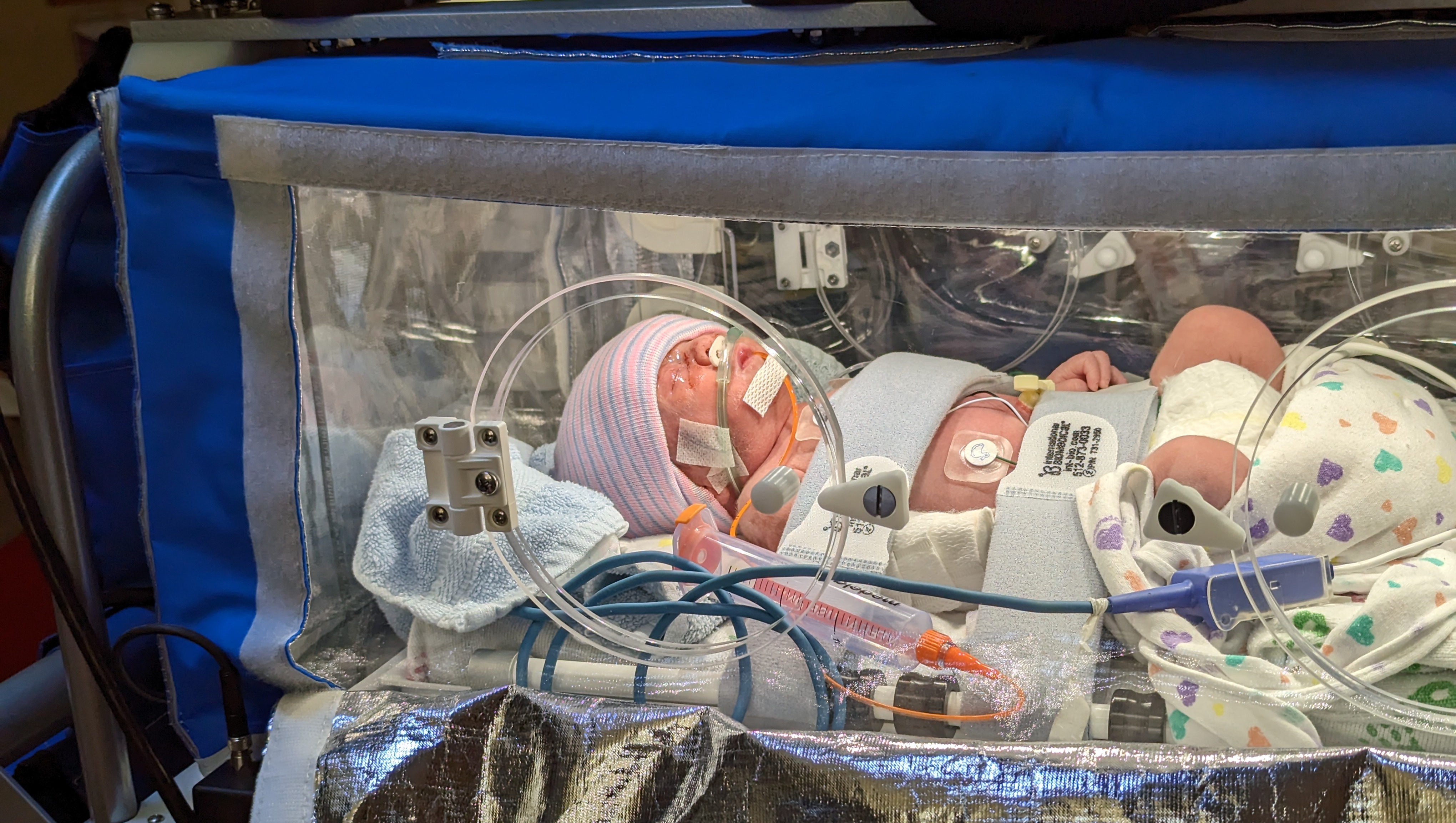 Fundraiser for Hannah Riley by Abbie Lorene : #HelpingHelìo 33 weeker's ...