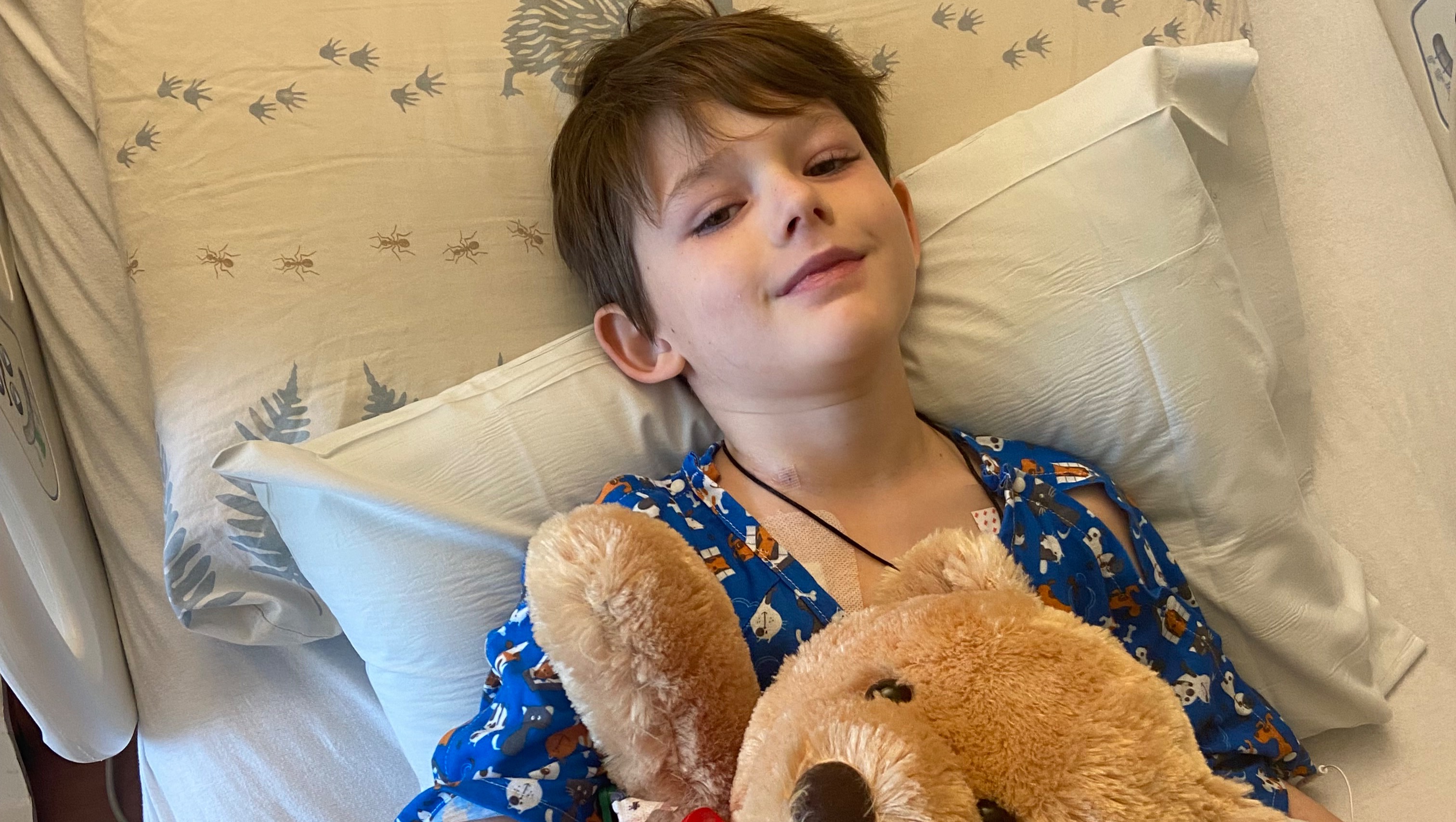 Fundraiser for Steven Graydon by Becky Blessing : support Maverick's ...