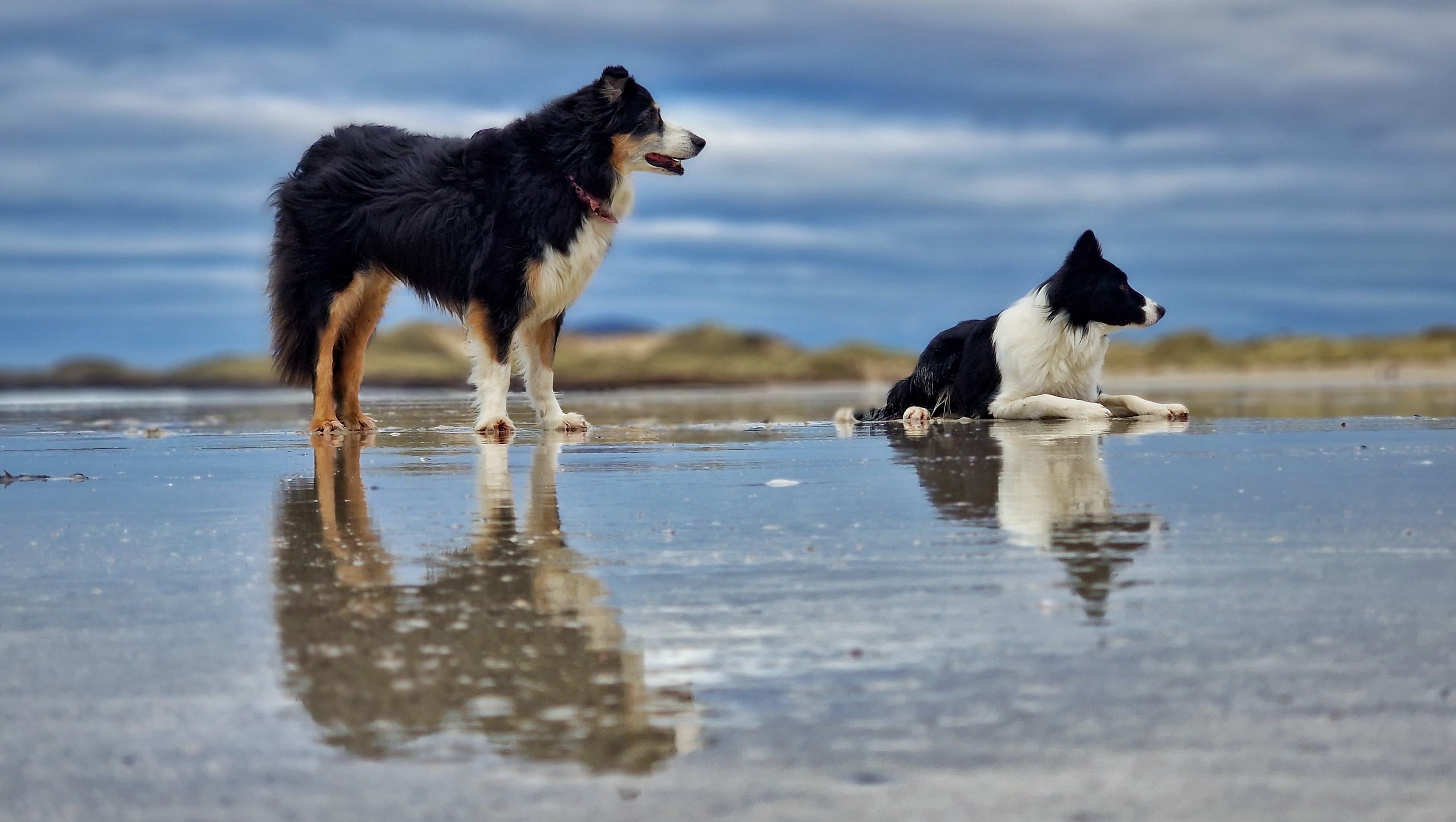 Fundraiser by James O'Donnell : Bringing Donegal, the WAW and Ireland ...