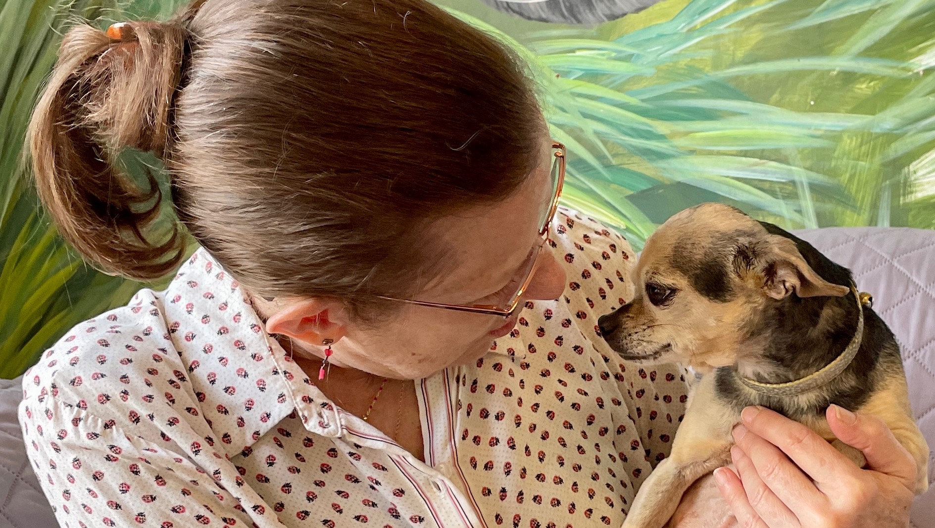 Fundraiser by Elizabeth Traynor : Almost there! Bink’s Dog Attack ...