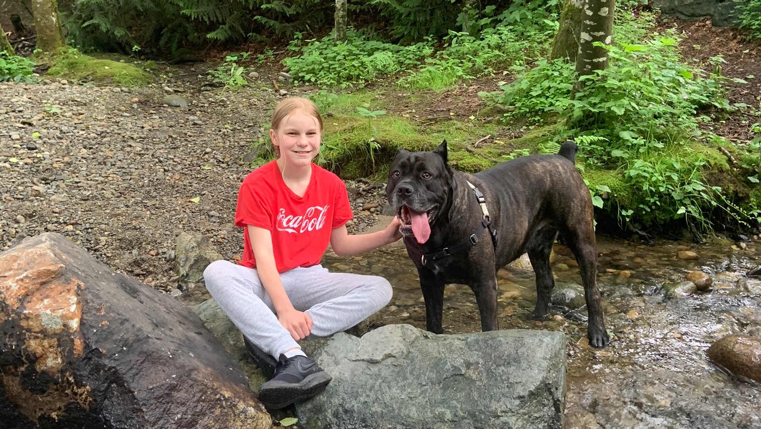 Fundraiser for Catherine Hood by Chalayna Jefferson : Axel needs surgery