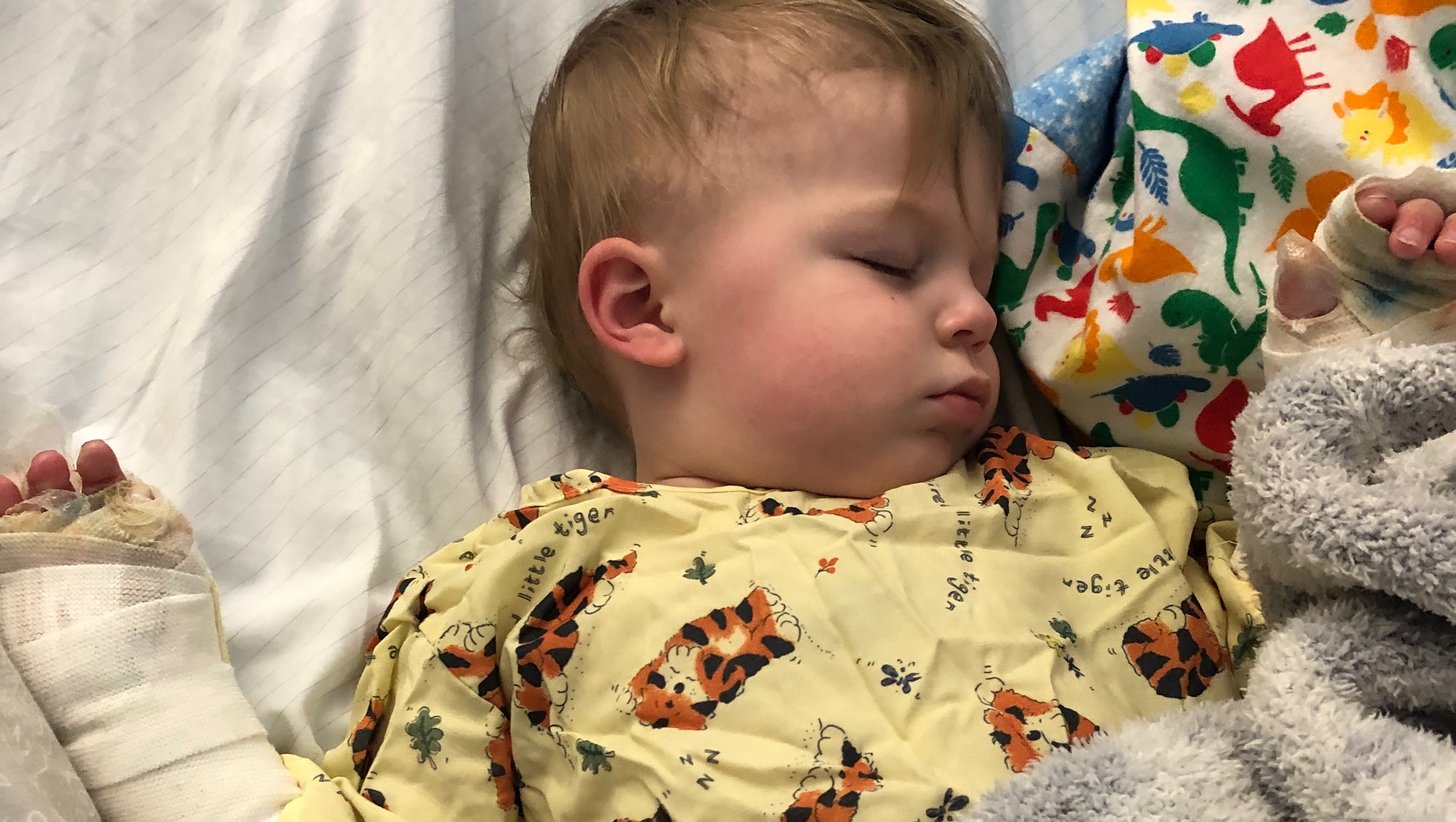 Fundraiser for Hannah Jordan by Jessi Thompson : Zane Jordan