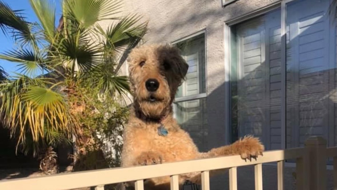 Fundraiser for Robert Boynes by ashley shuck : Rob Rebuilds: Tragic ...