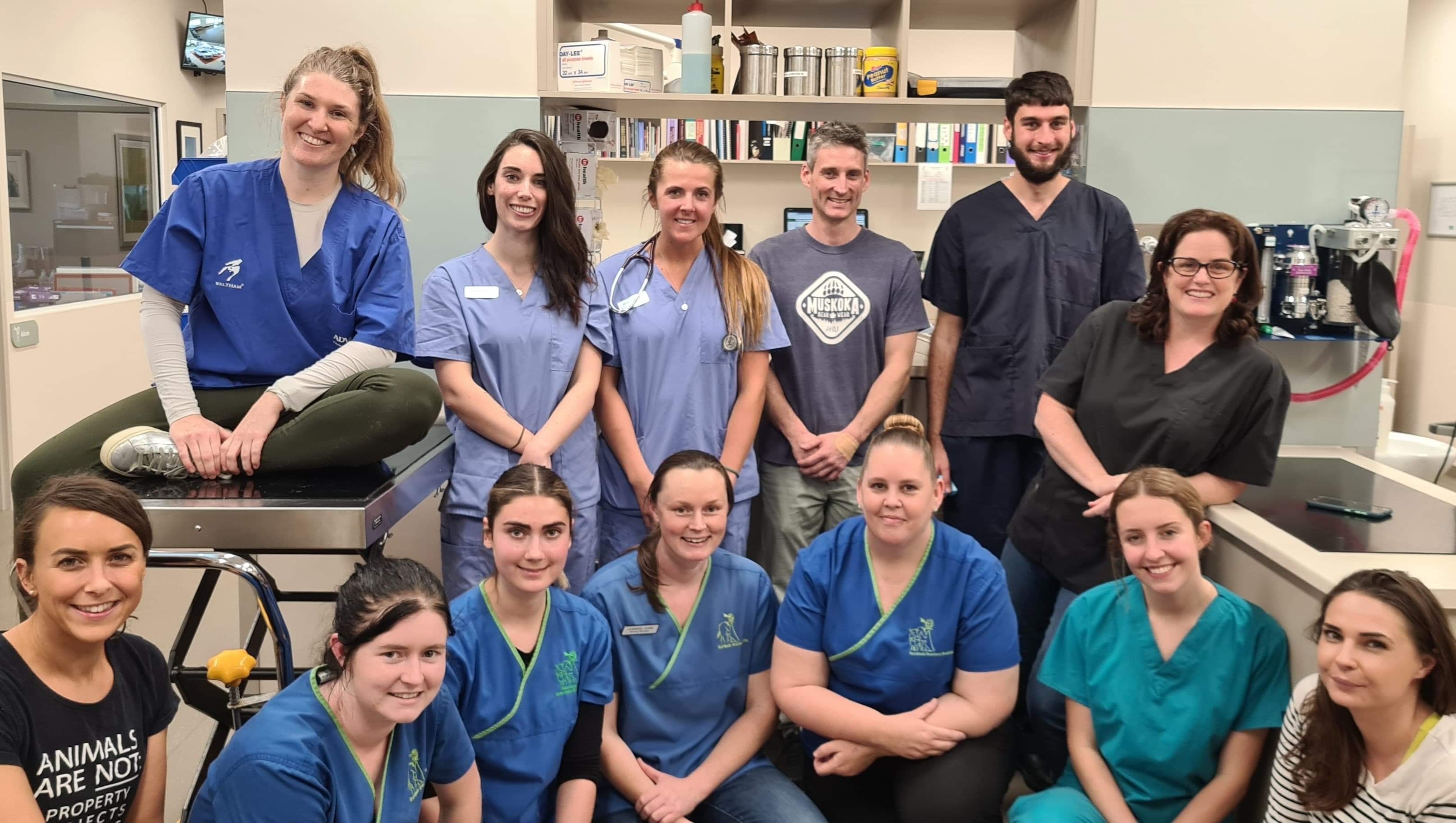 Fundraiser by Heartlands Veterinary Hospital : Heartlands Charity ...