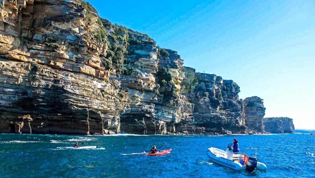 Fundraiser by David Goldman : Protect Australia's Natural Biodiversity