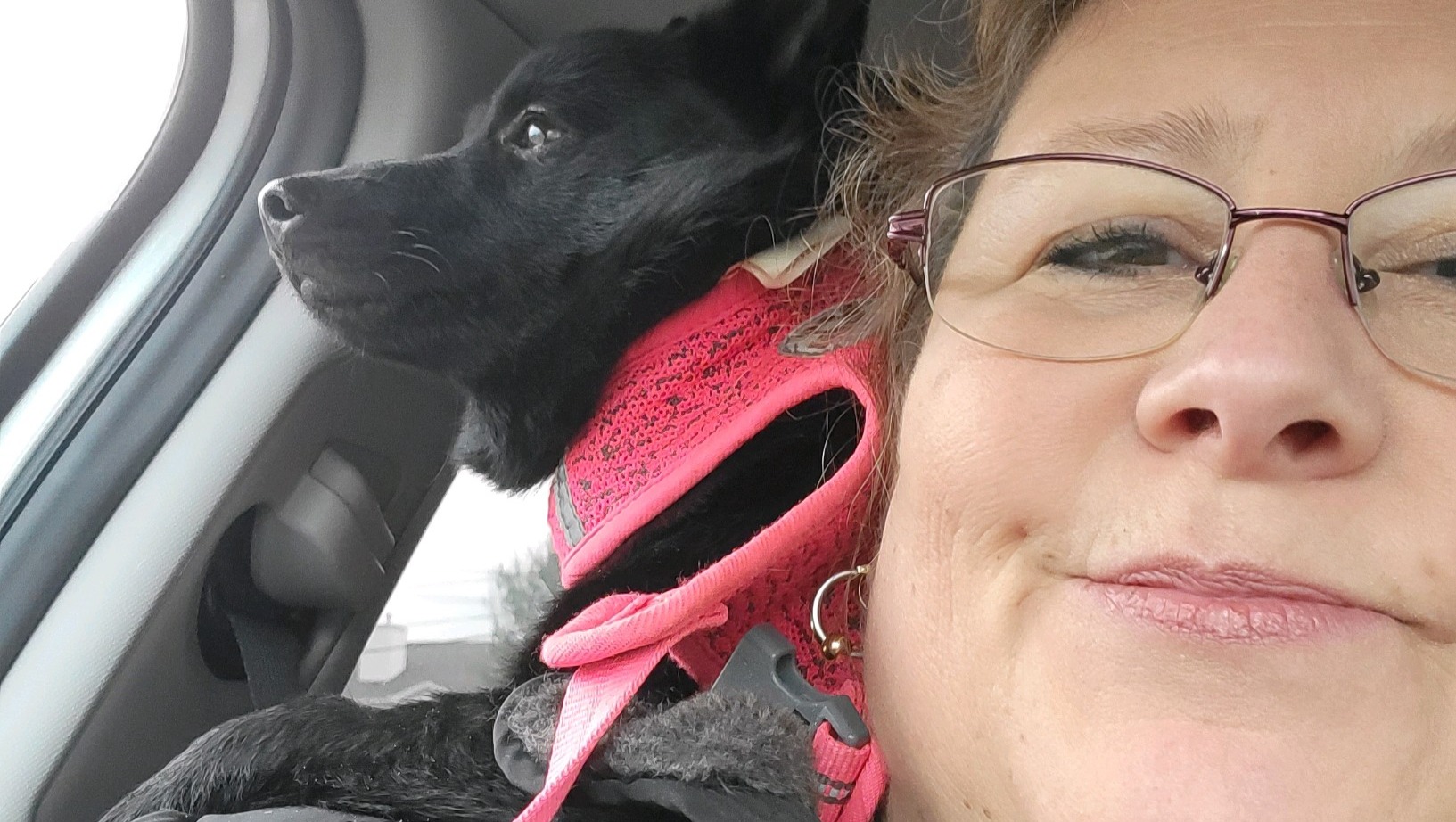 Fundraiser for Beth Grant by Meggan White : My sister Beth needs help ...