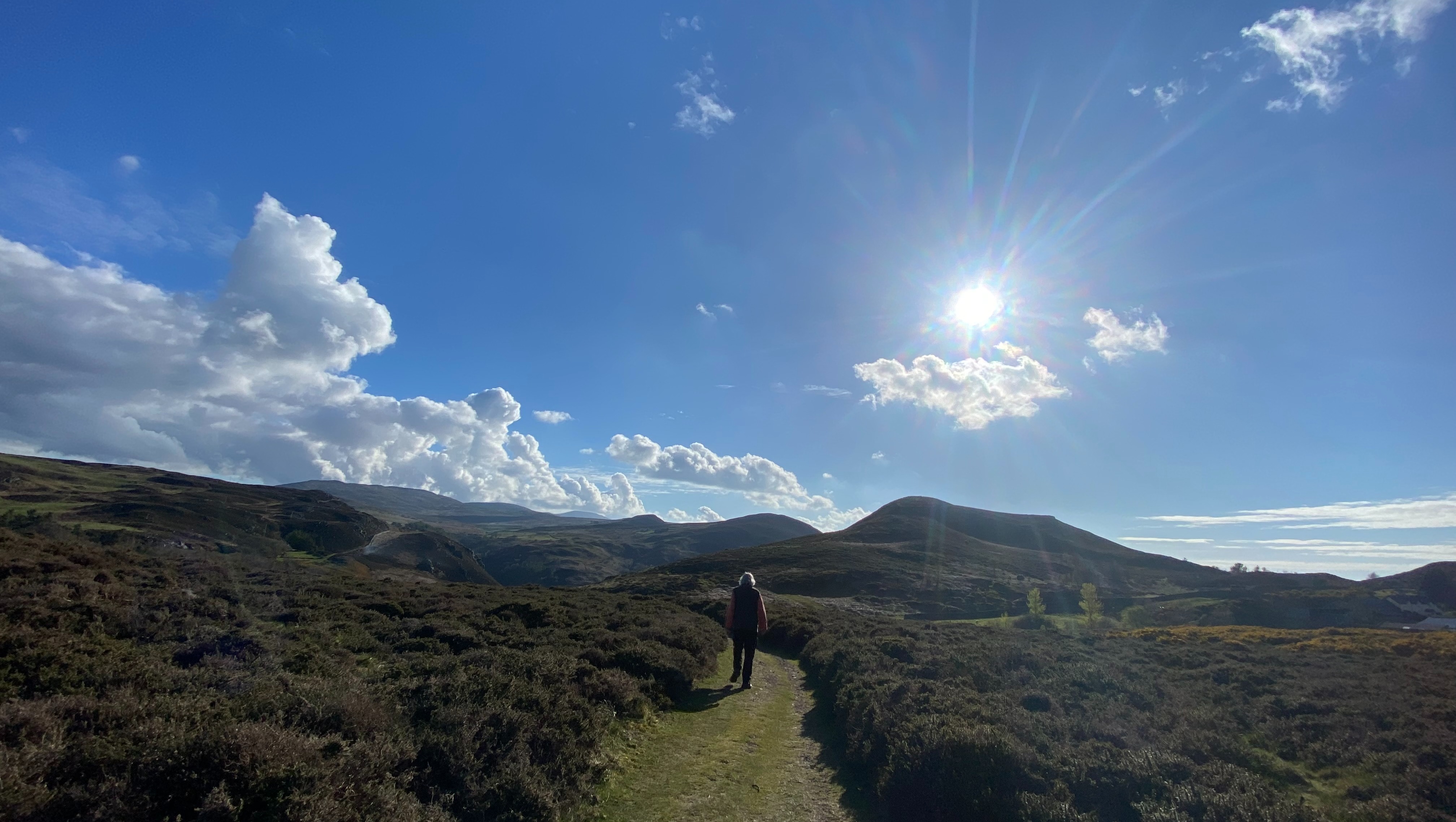 Fundraiser by Amy Tupman : In Memory of Bill Tupman