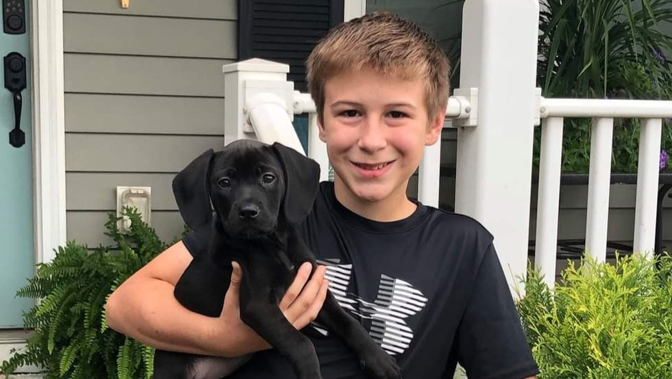 Fundraiser by Ashley Nowell : Calaebs Canines