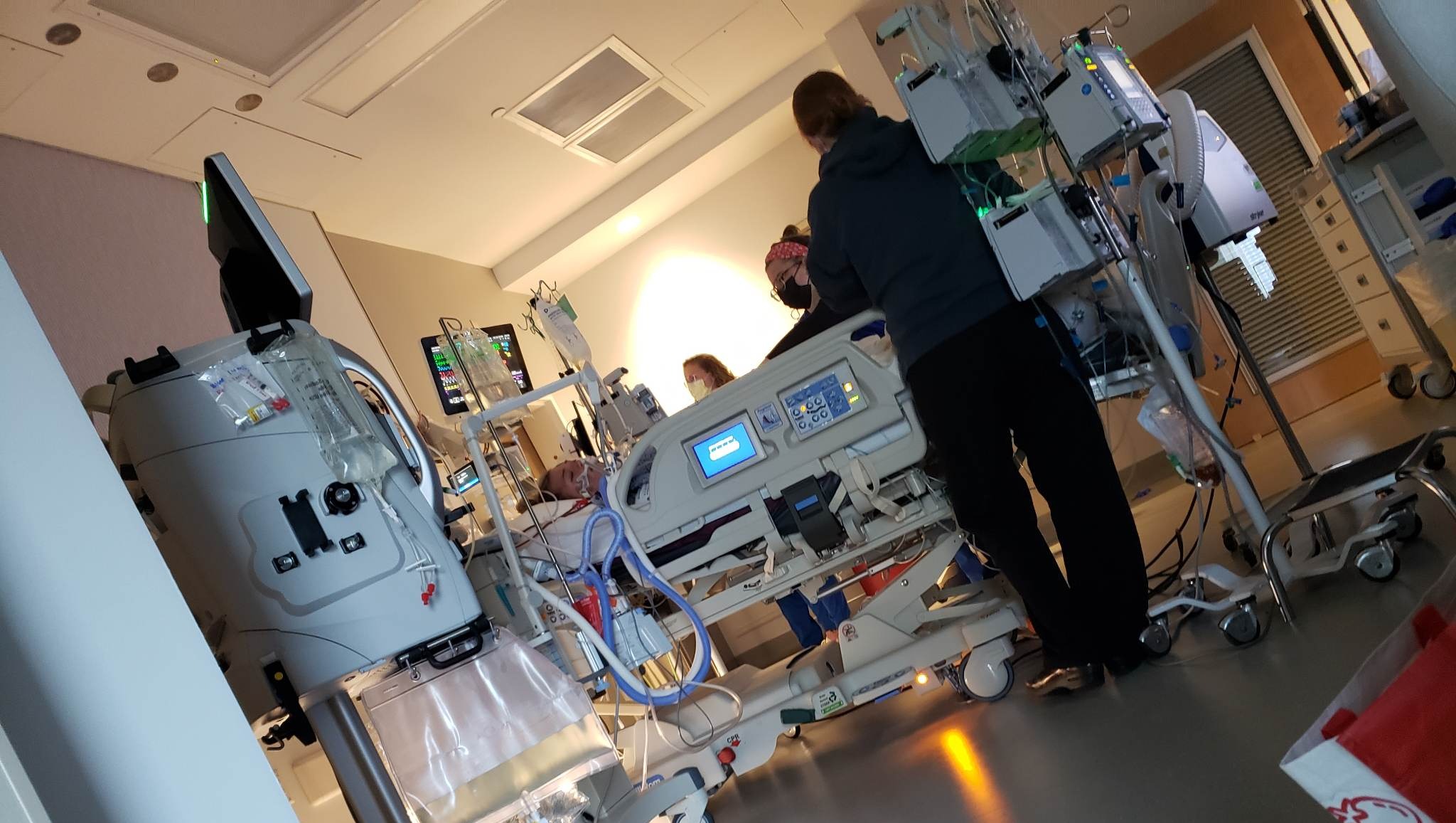 Fundraiser for Jenel Buxman by Lisa Ketchum : Lulu's Medical Journey