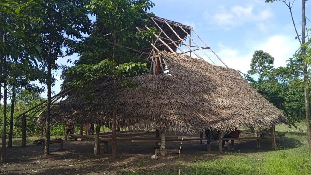 Fundraiser by Melody Kim Tello Fachin : Llamada para apoyar Casa Madre ...