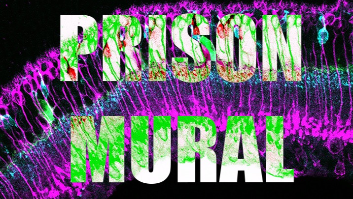 Fundraiser by Mathew Taylor : In Cell Prison Mural